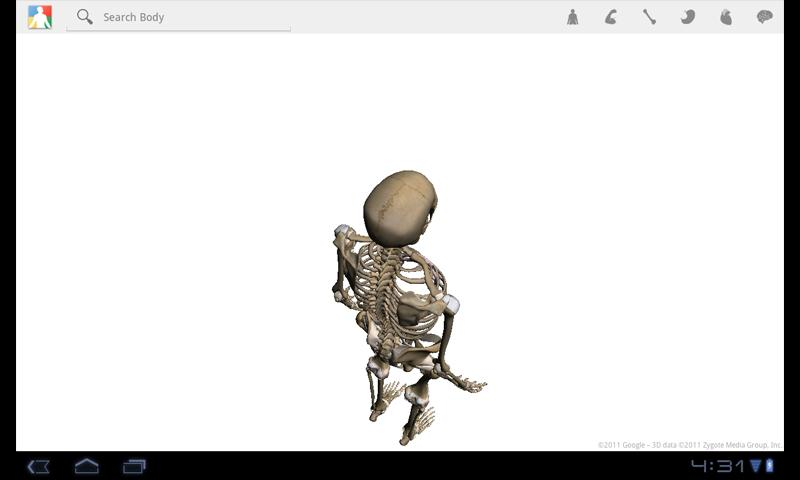Google's Human Body Browser Is Now Available (Again) For Honeycomb Devices