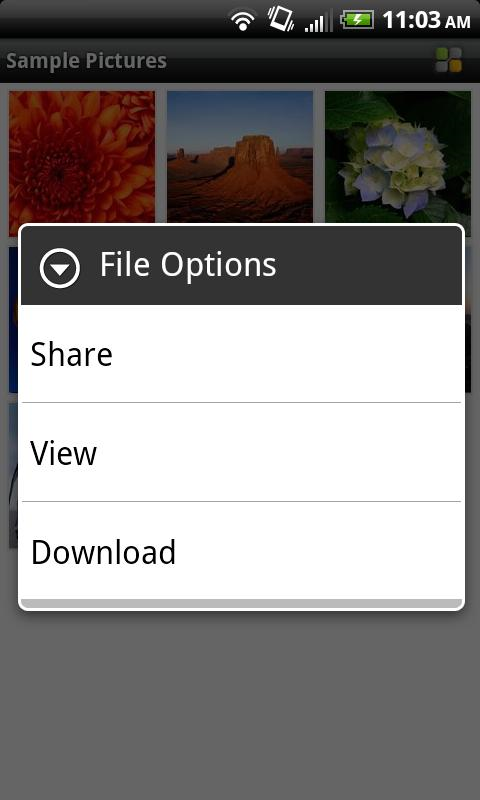 Mozy Android App Now Available