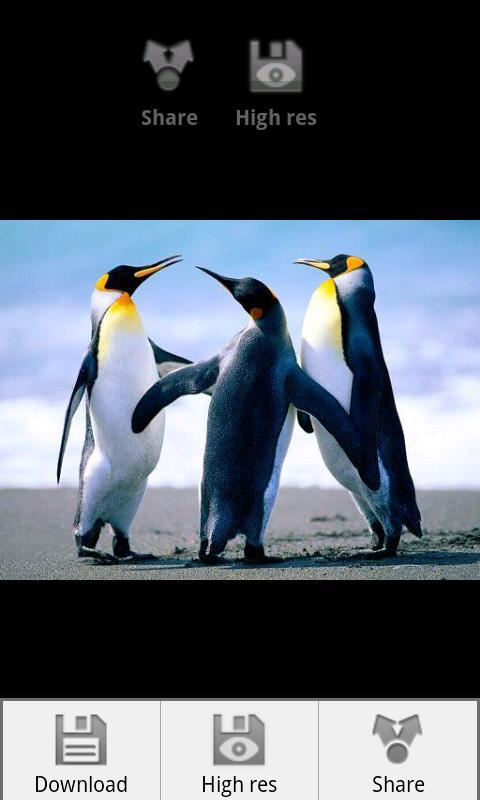 Mozy Android App Now Available