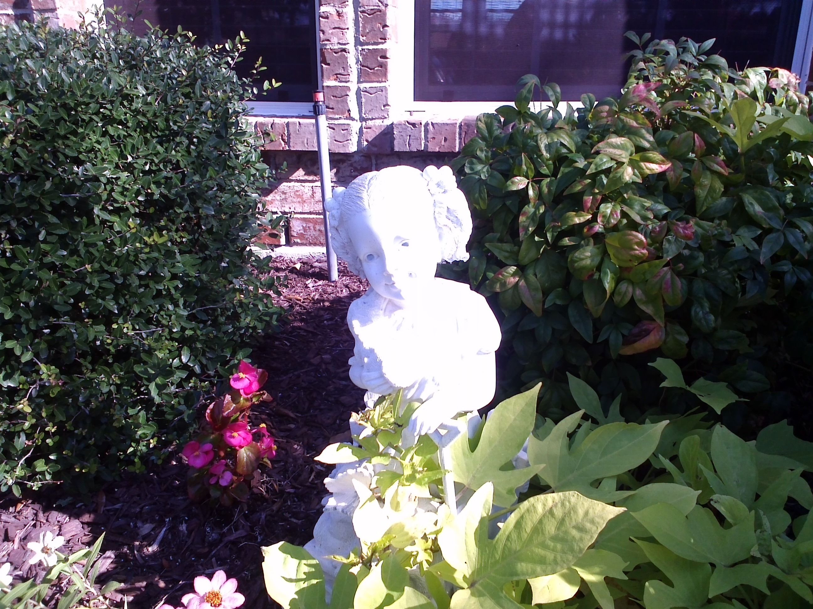 EVGA Tegra Note 7 Review: An Affordable Tablet With A Lot To Love ...