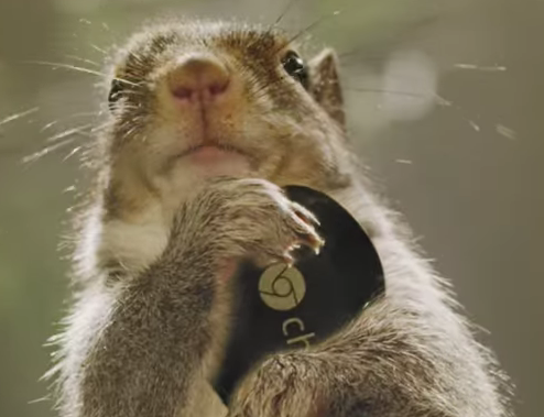 [April Fools] The Chromecast Is Perfect For Squirrels, May Contain Nuts