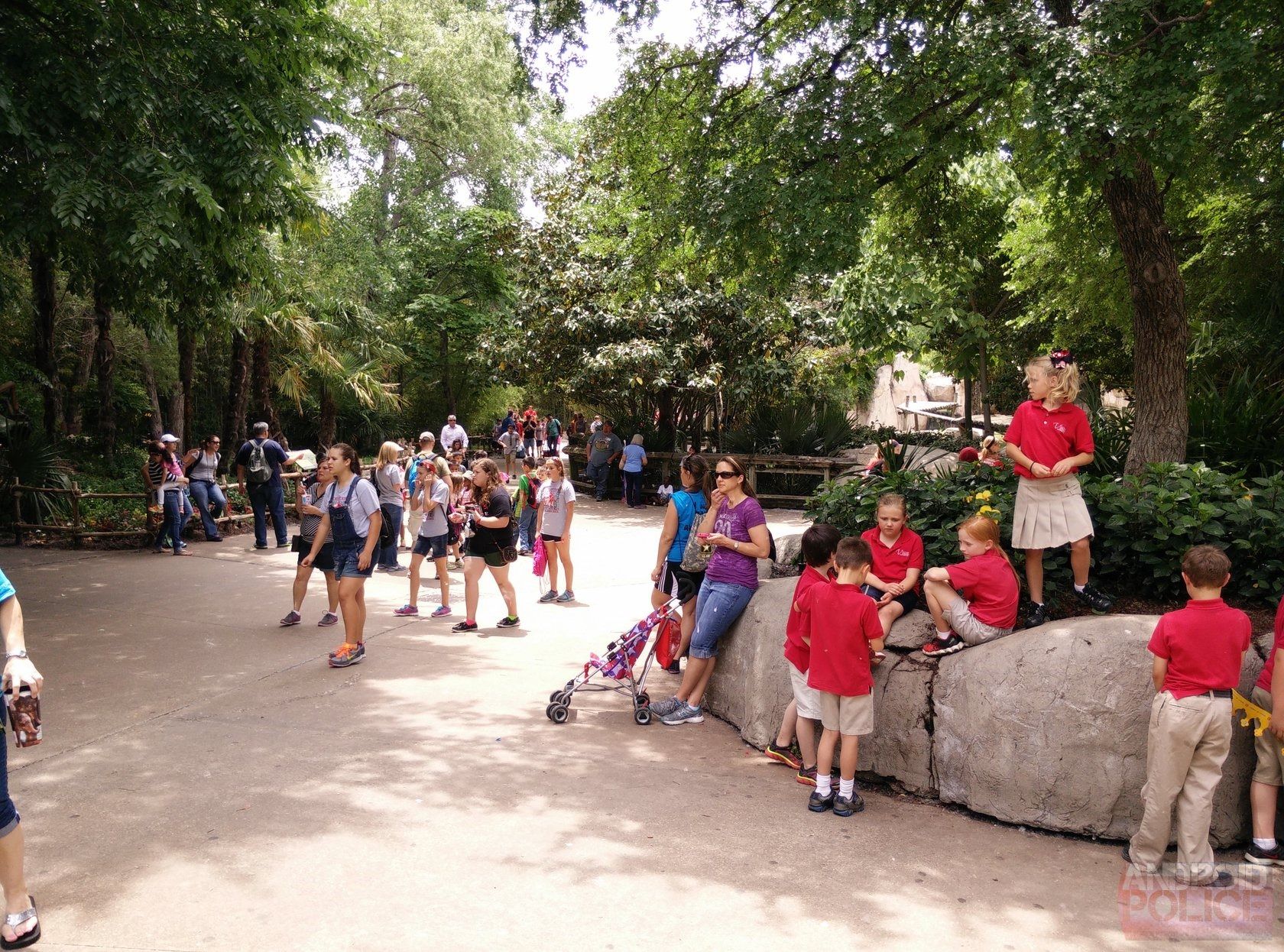 OnePlus One With CyanogenMod 11S Review: The Best Flagship Phone You ...