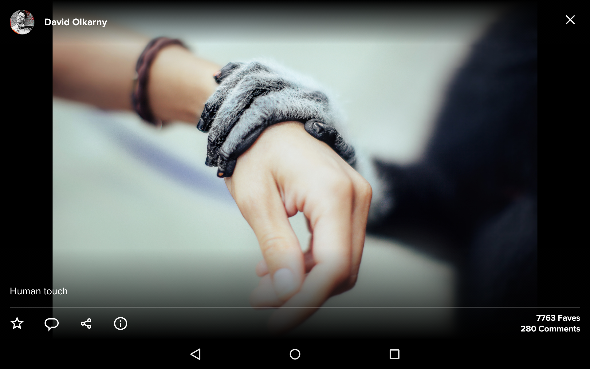 Flickr 4.0 Introduces Auto-Uploadr (For Photos And Videos), Camera Roll ...