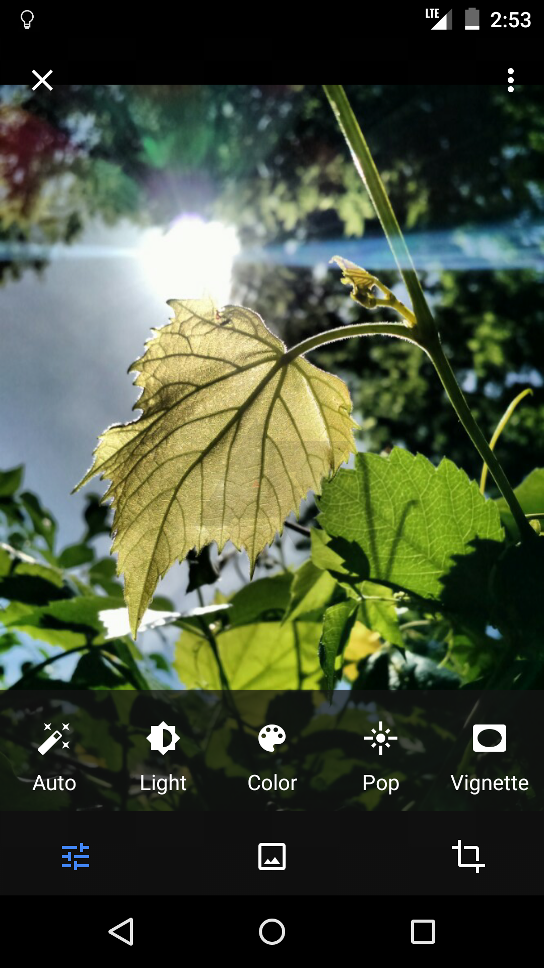 An Exclusive Early Look At The New Google Photos App