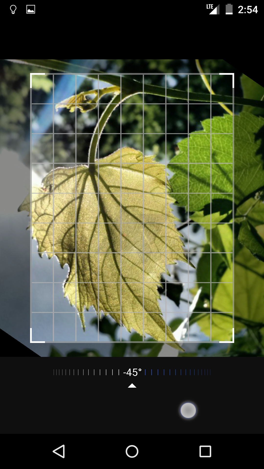 An Exclusive Early Look At The New Google Photos App