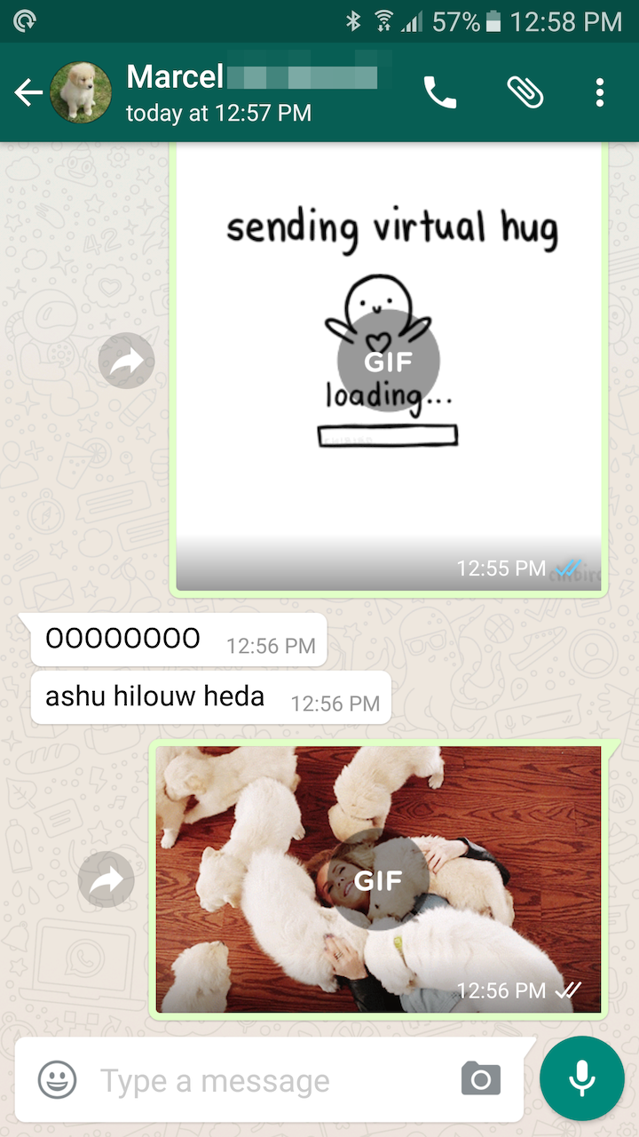 WhatsApp's latest beta finally, finally, finally lets you send GIFs