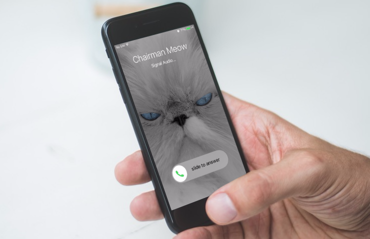 The stable version of the Signal app is receiving beta support for ...