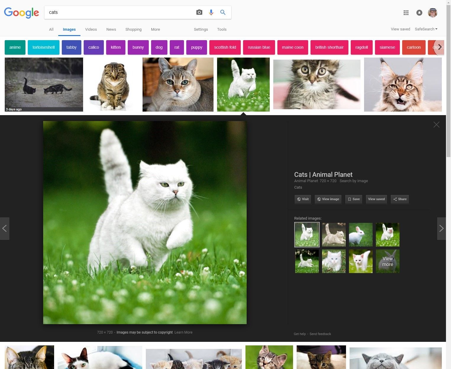 [Update: More tests] Google Images testing new mobile-style UI for the web