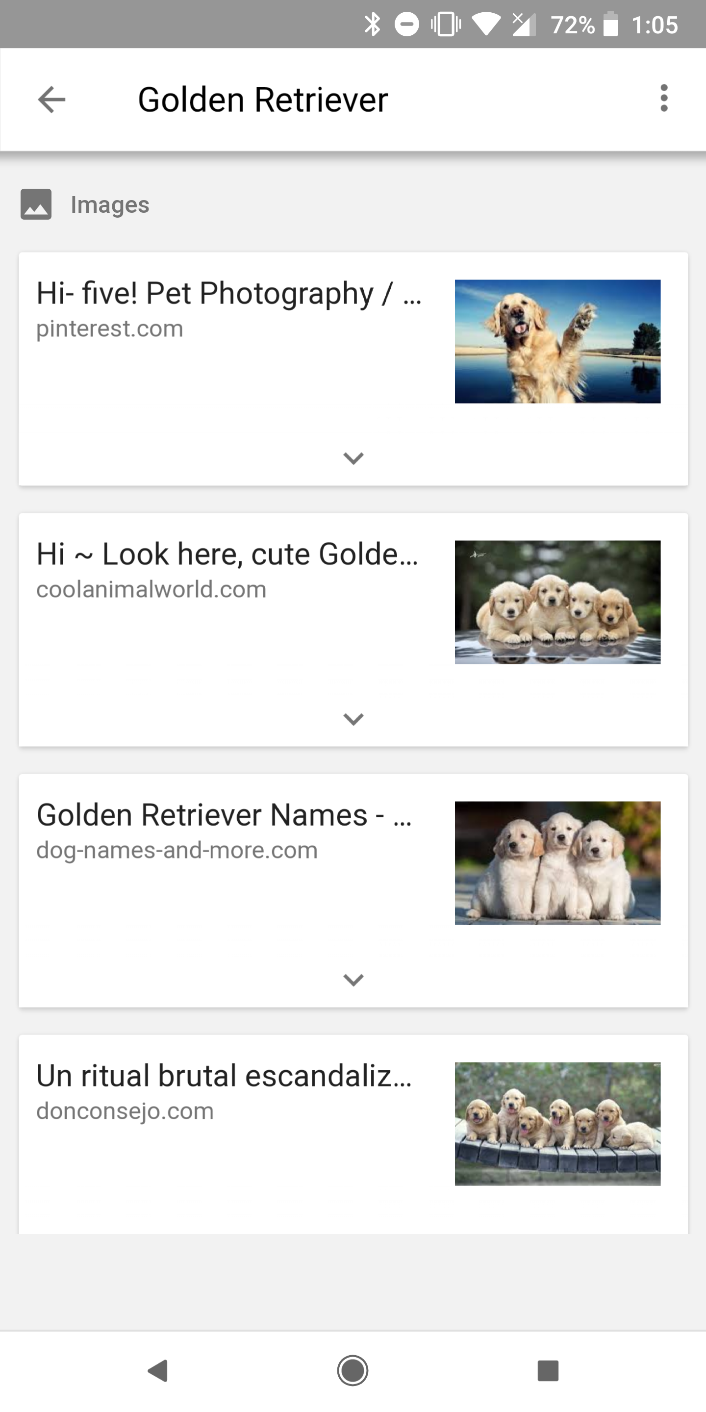 Google Collections start rolling out, replacing Saved pages Google Collections start rolling out, replacing Saved pages