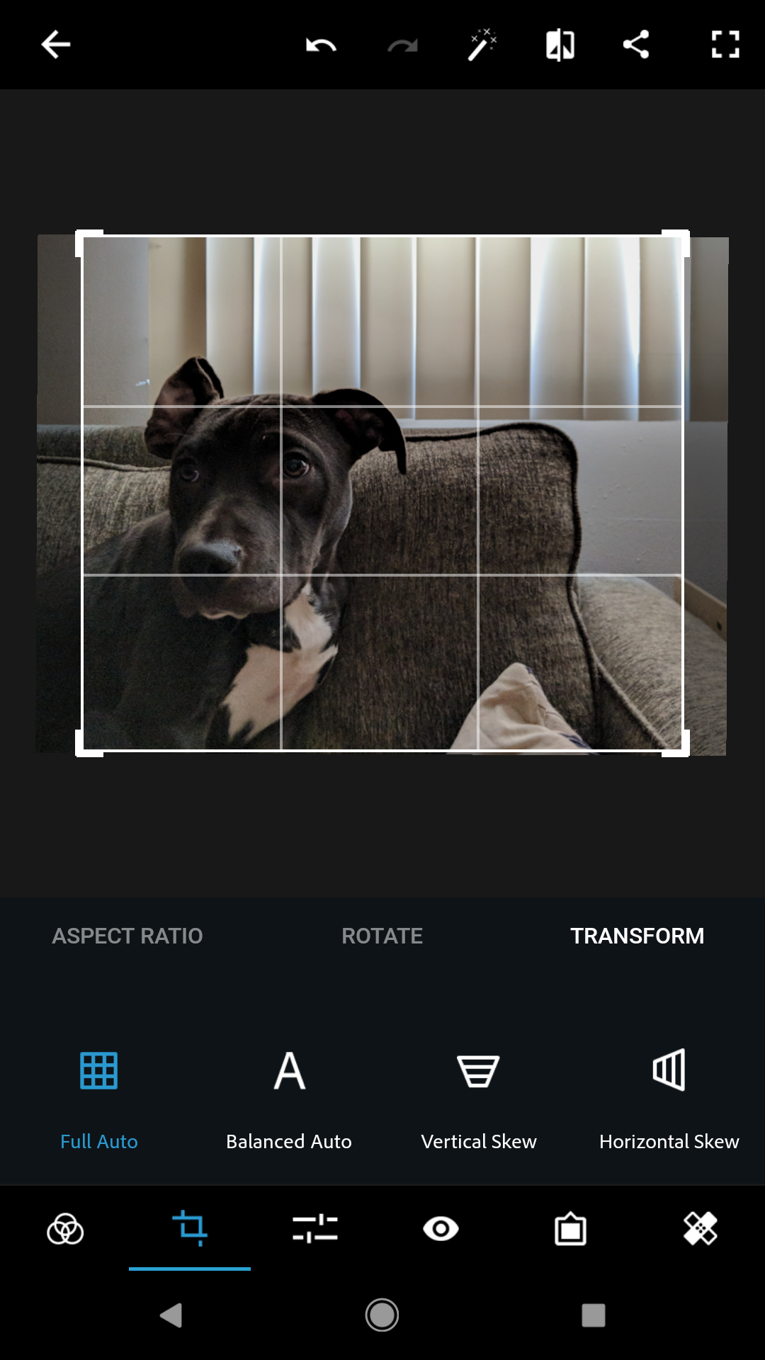 Adobe Photoshop Express adds automatic perspective correction, vignette ...