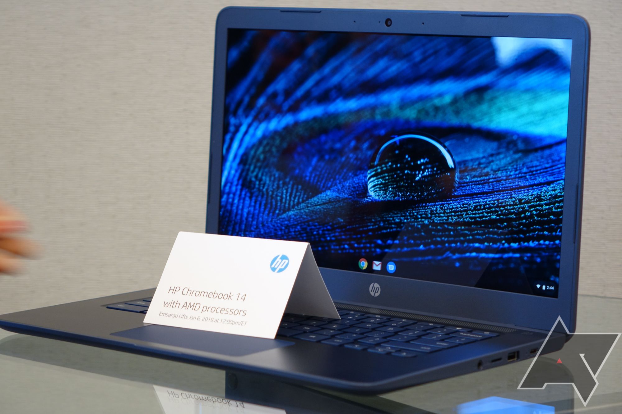 The HP Chromebook 14 is powered by an AMD processor, starts at $269 ...
