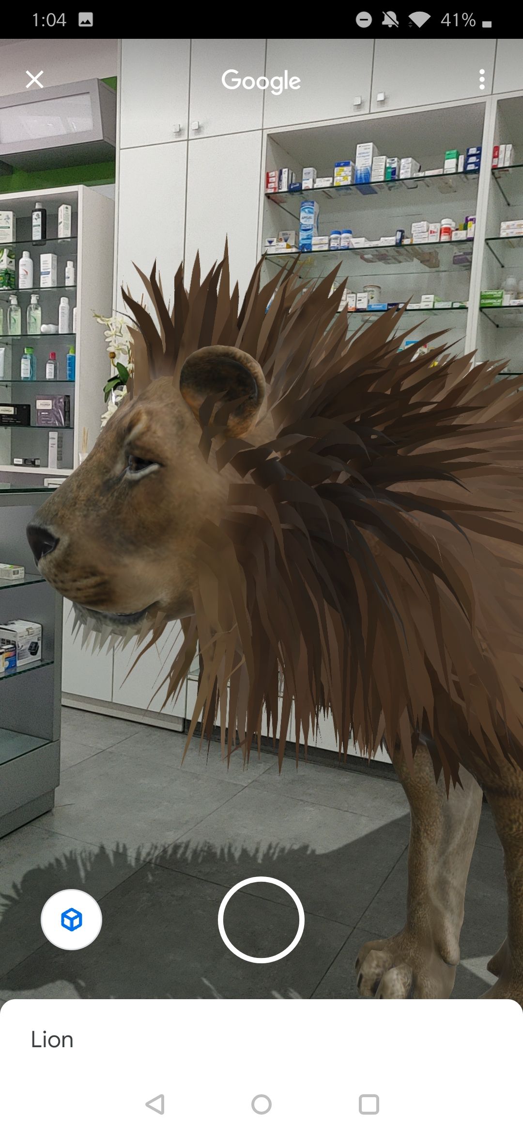 Put a shark or panda in your living room with Google Search's new AR 3D ...