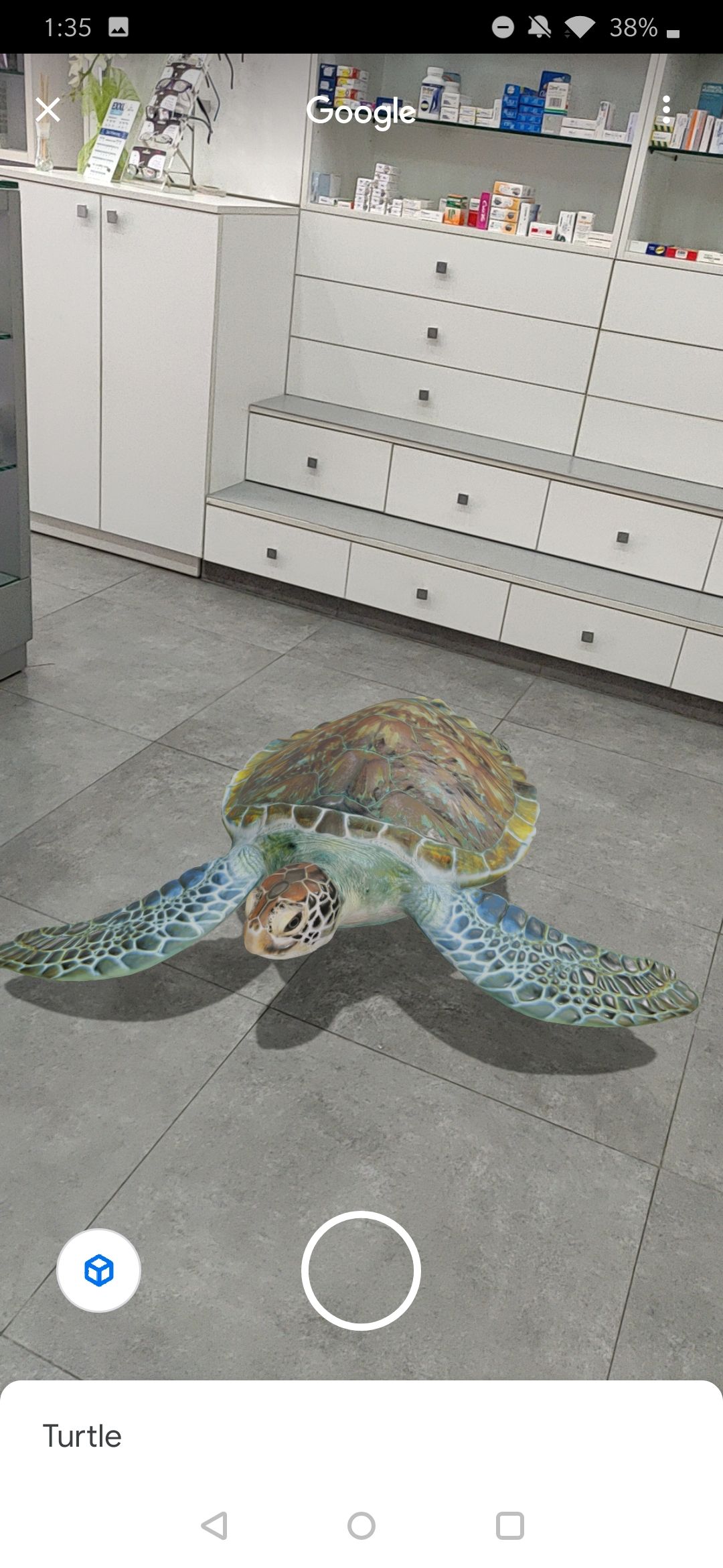 Put a shark or panda in your living room with Google Search's new AR 3D ...