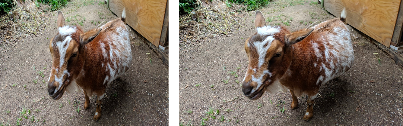 Moment Pro Camera app adds anamorphic de-squeeze, celebrates with 15% ...