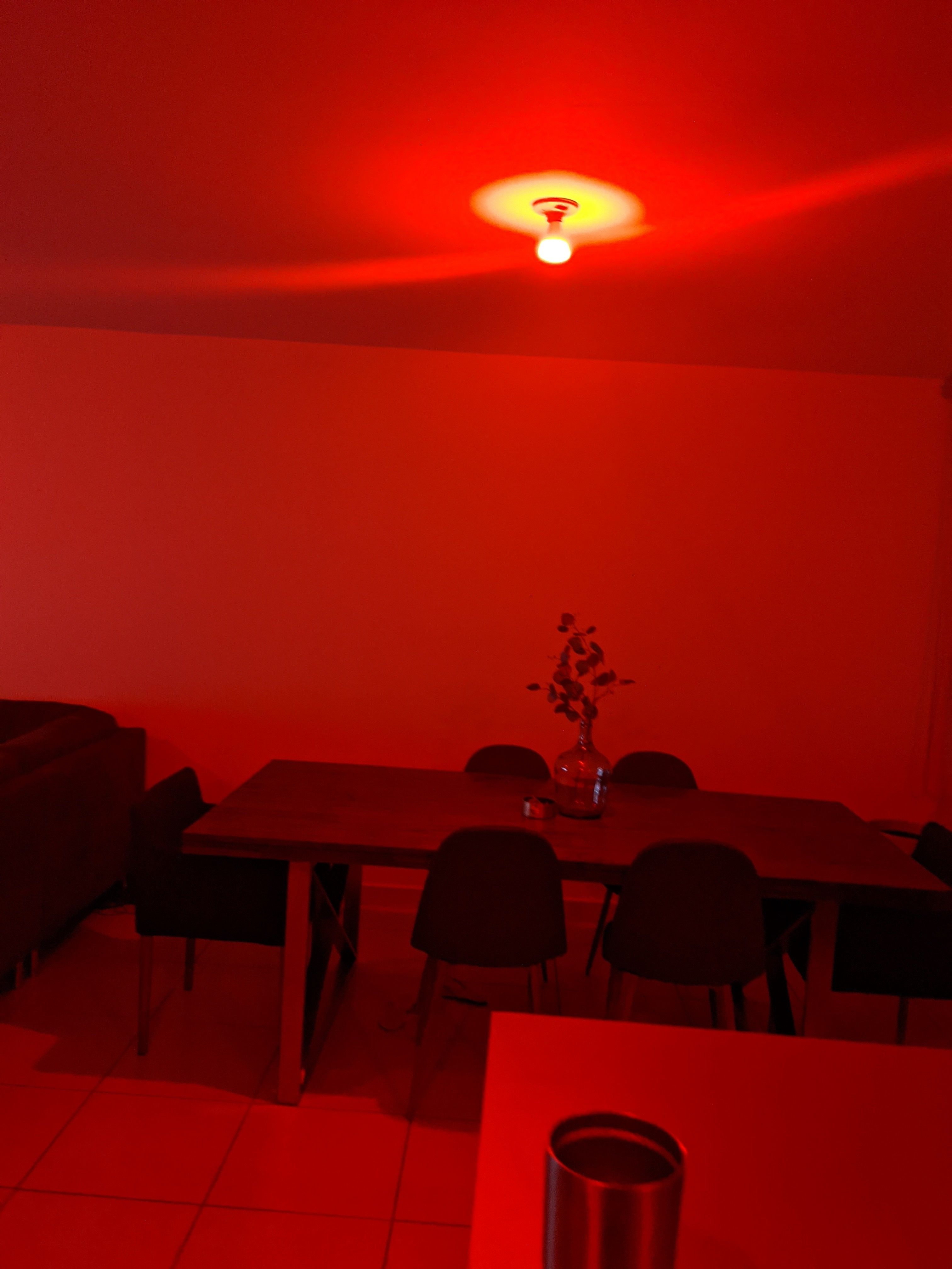 (Update: Fixed) The Pixel 4's camera has serious white balance problems ...