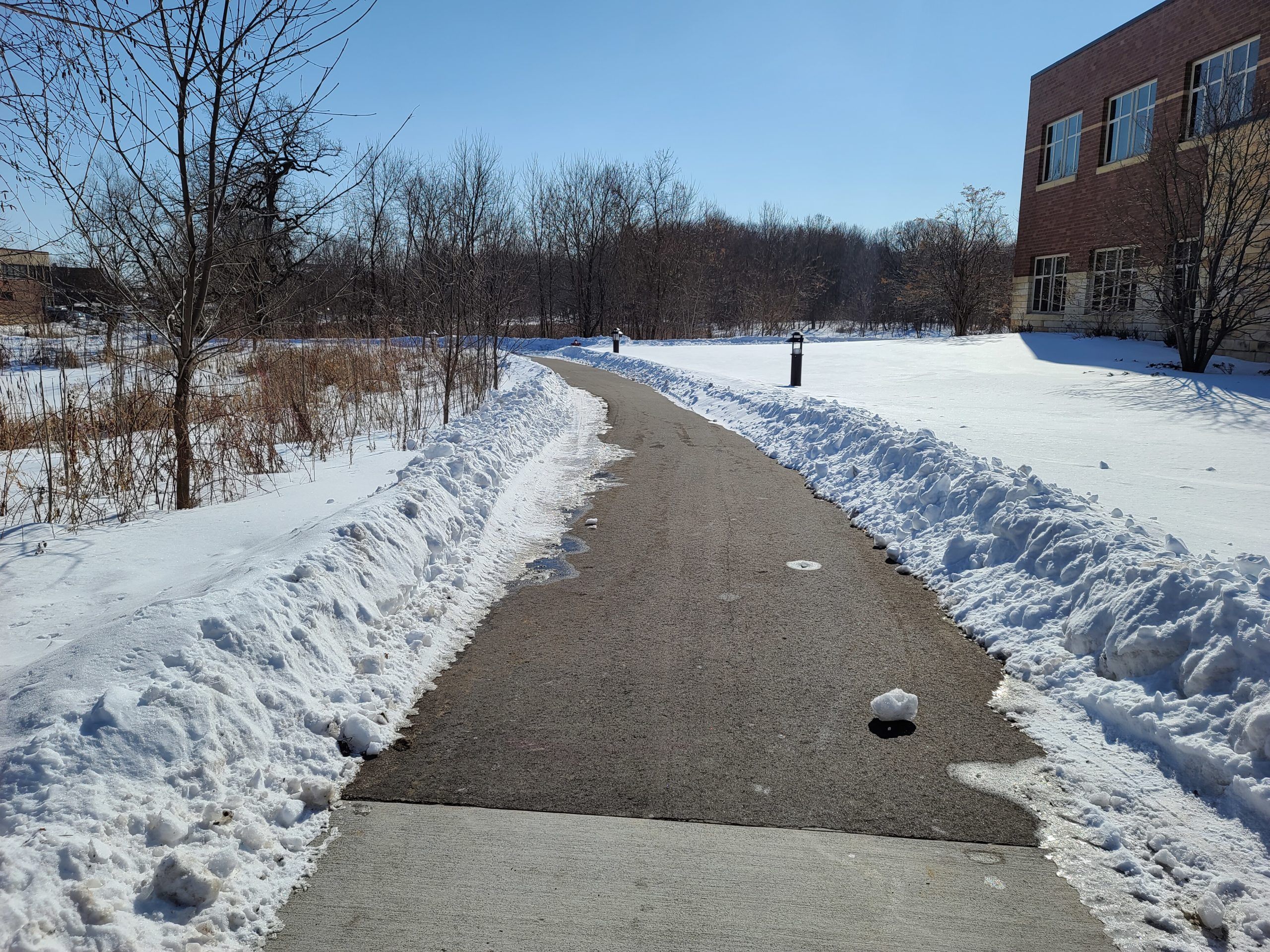 Galaxy S20 Ultra camera samples: Our first shots with Samsung's new ...