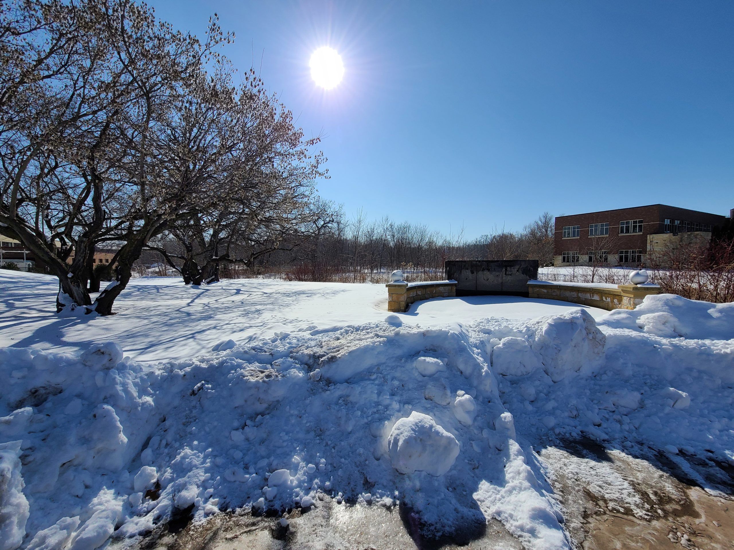 Galaxy S20 Ultra camera samples: Our first shots with Samsung's new ...