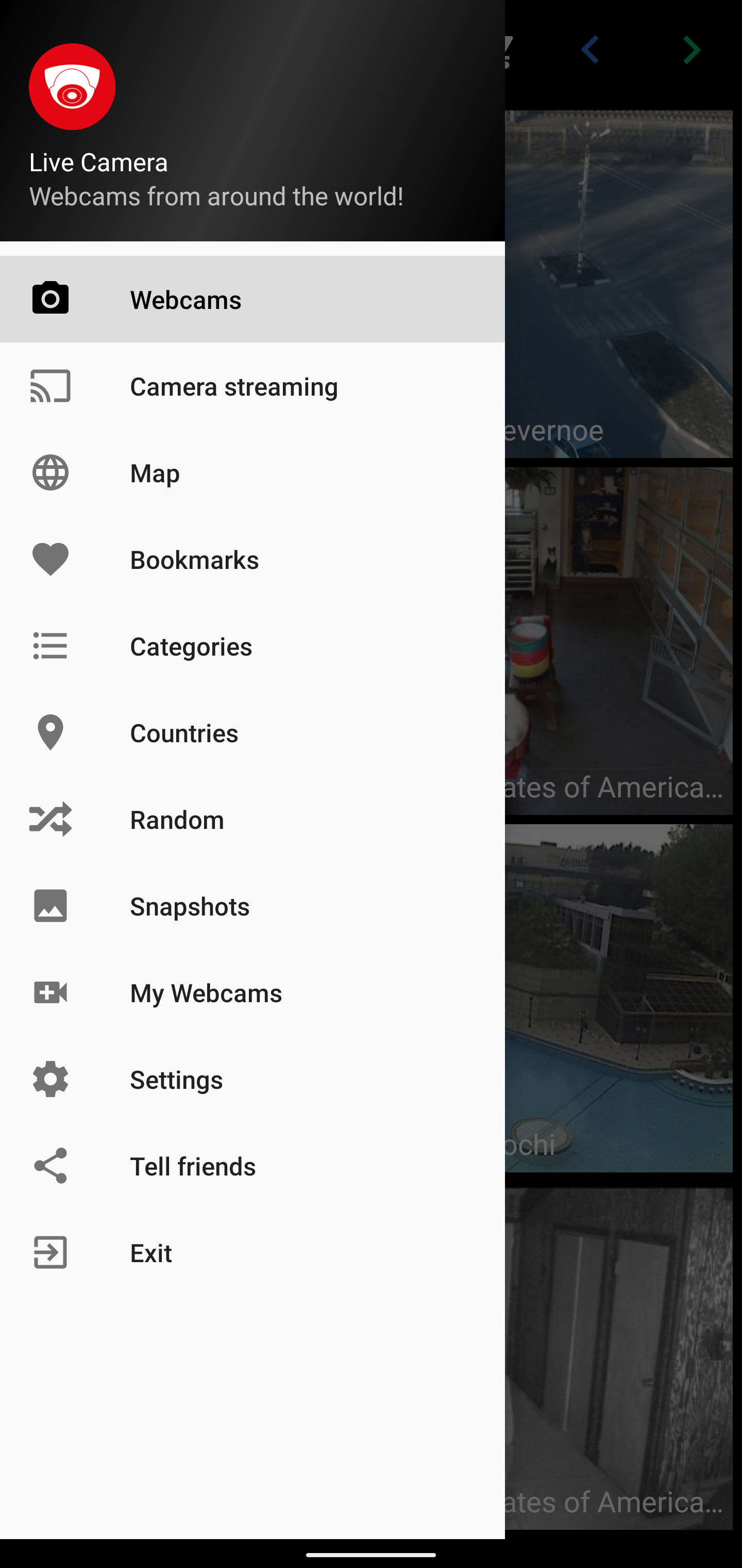 Public webcams show just how empty coronavirus has made our world