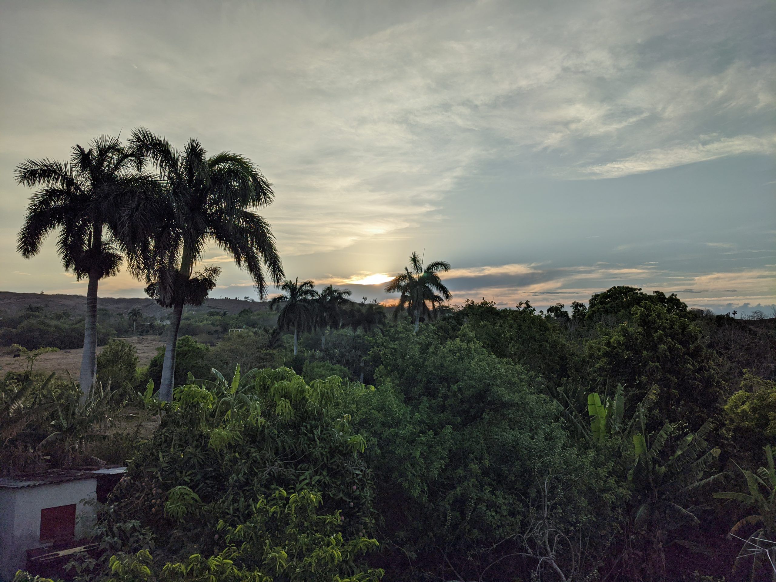 More Pixel 4a camera samples leak, including a full camera review