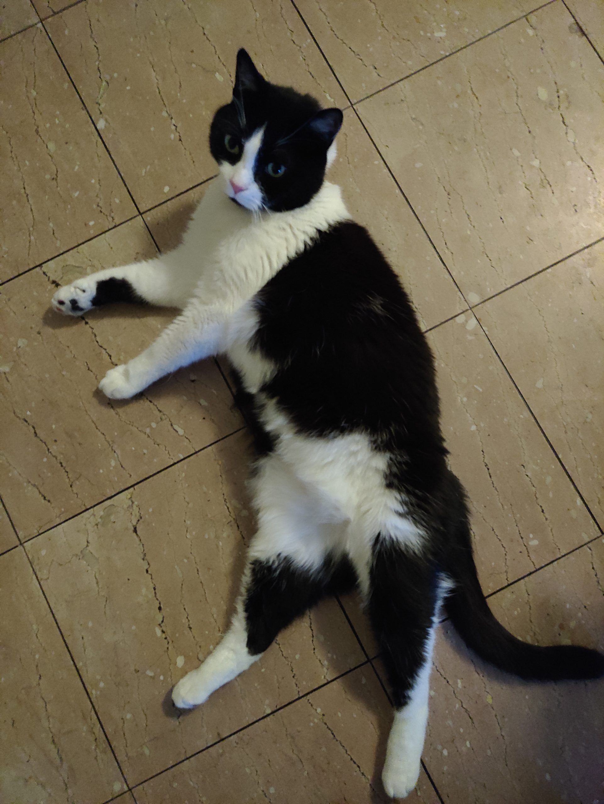 Red Magic 5G review: Proof that specs don't make magic