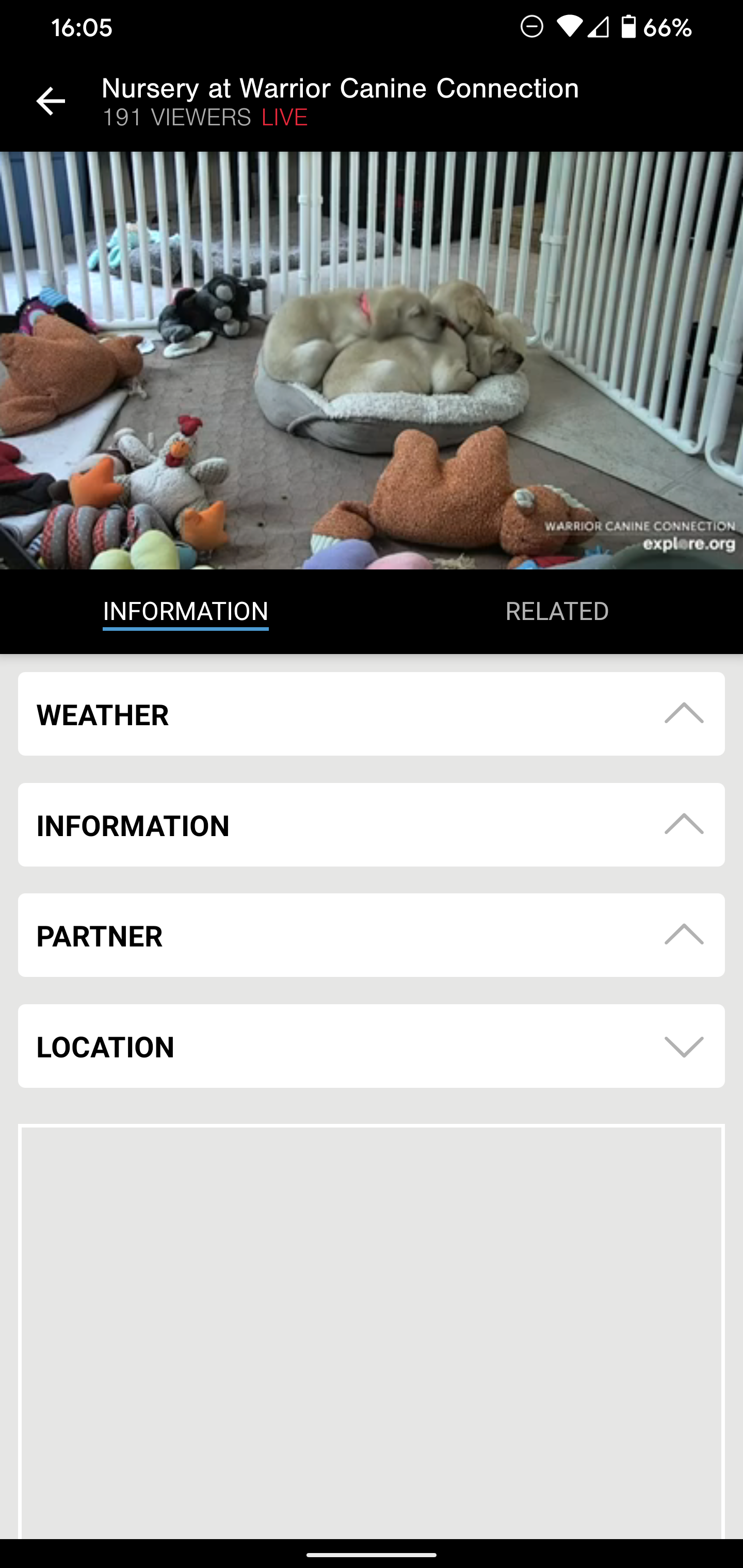 Watch hundreds of puppy, kitten, wild life, and nature livestreams to ...