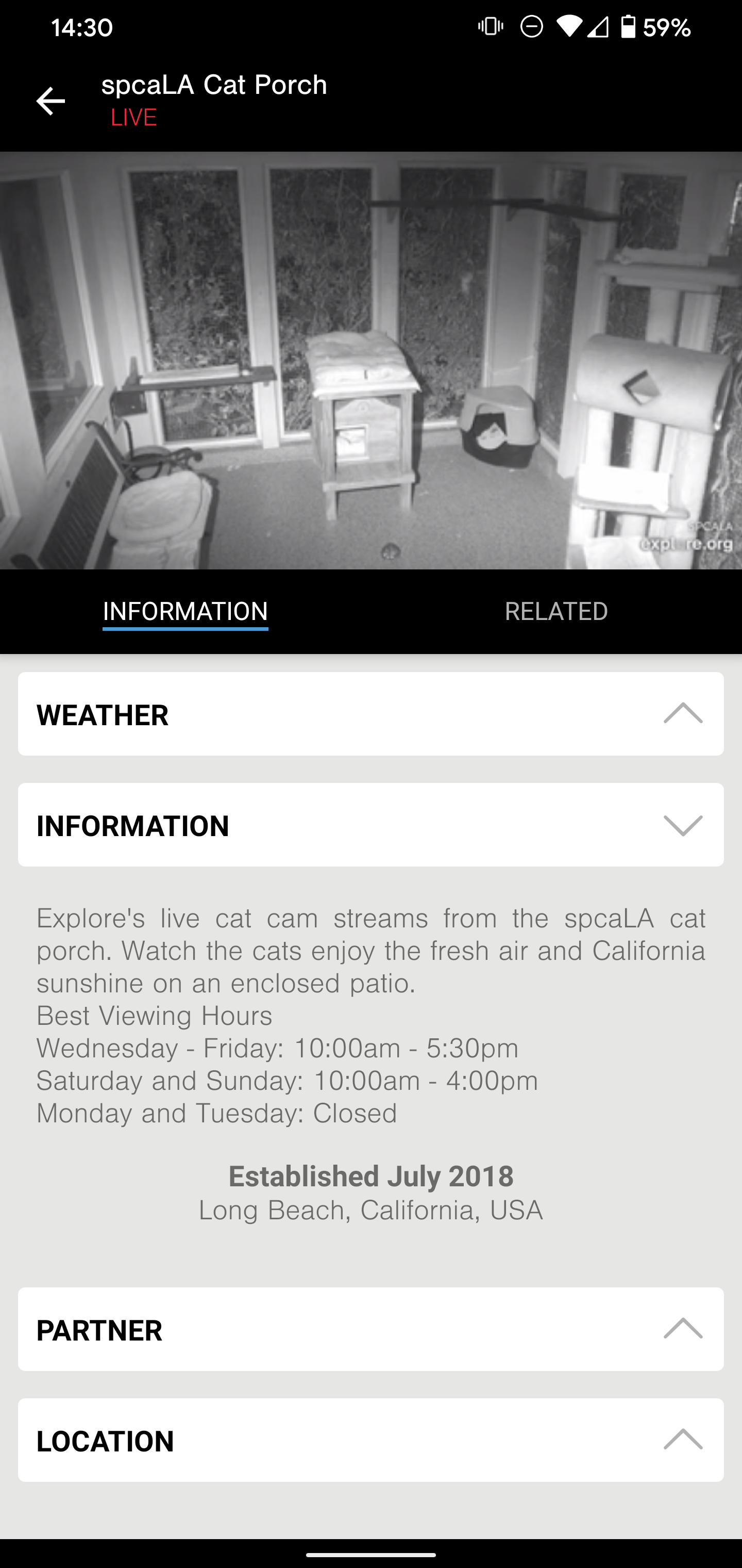 Watch hundreds of puppy, kitten, wild life, and nature livestreams to ...