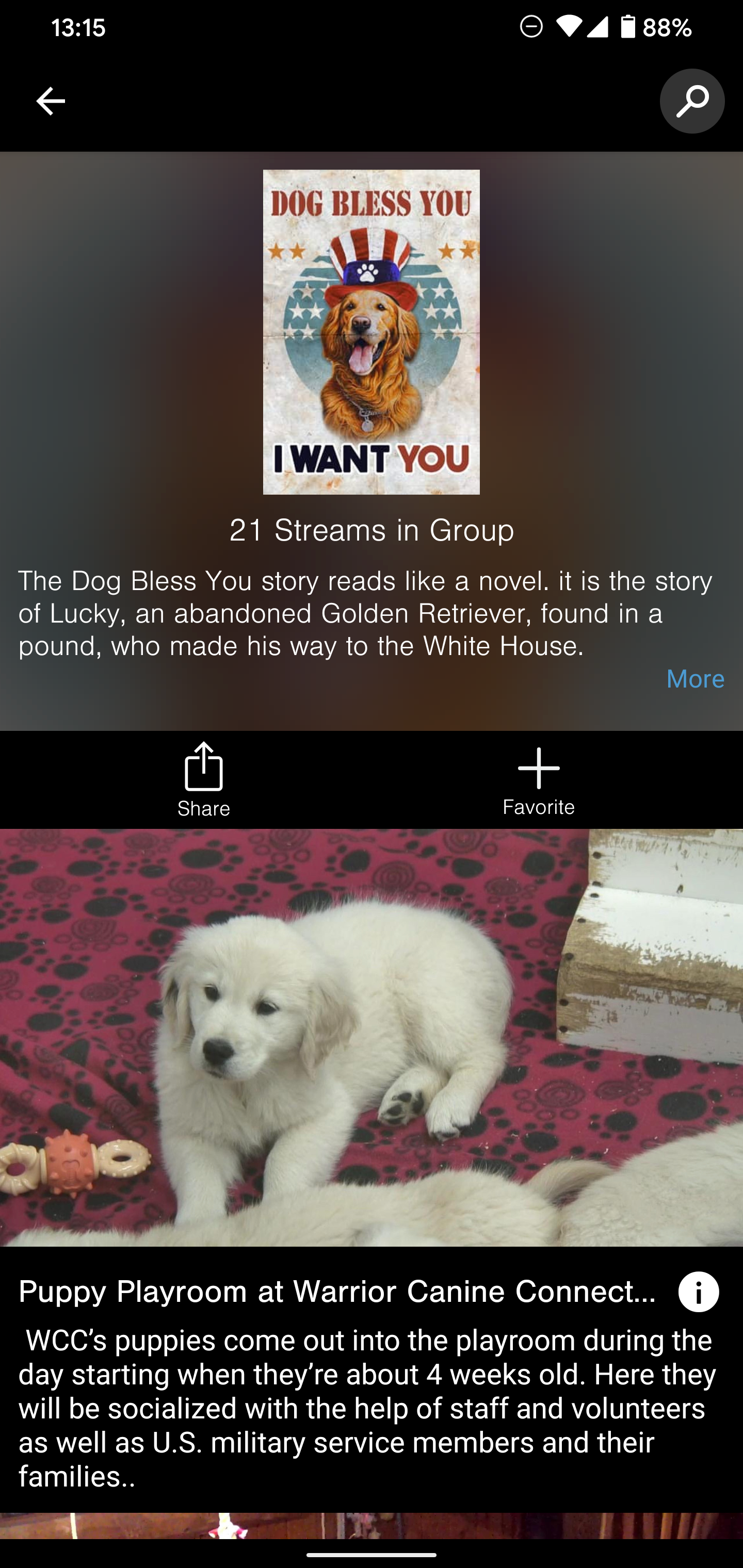 Watch hundreds of puppy, kitten, wild life, and nature livestreams to ...