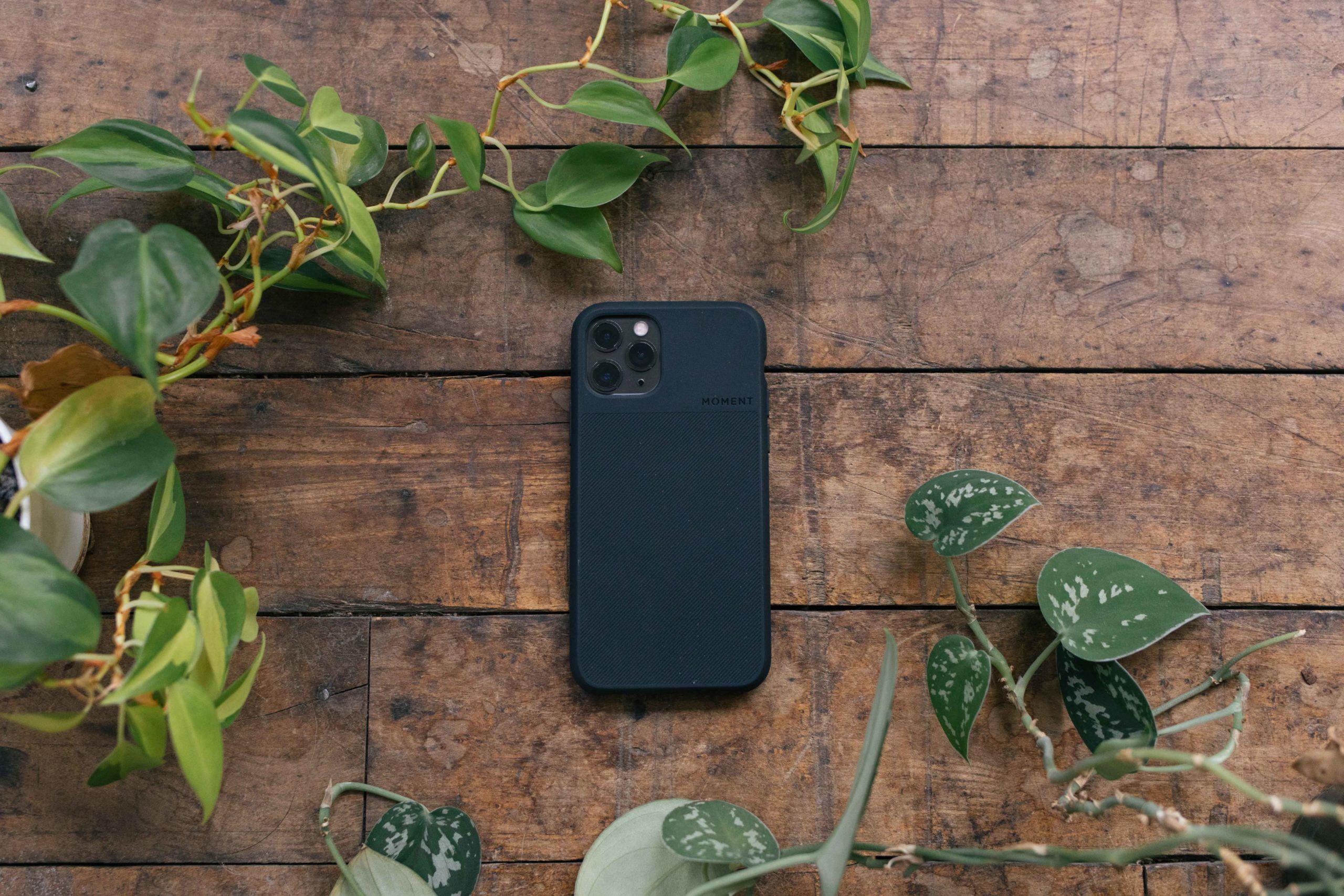 Moment sale takes up to 75% off phone cases
