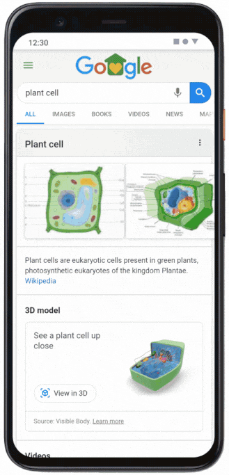 Google Search adds more AR 3D objects, including cell models and ...