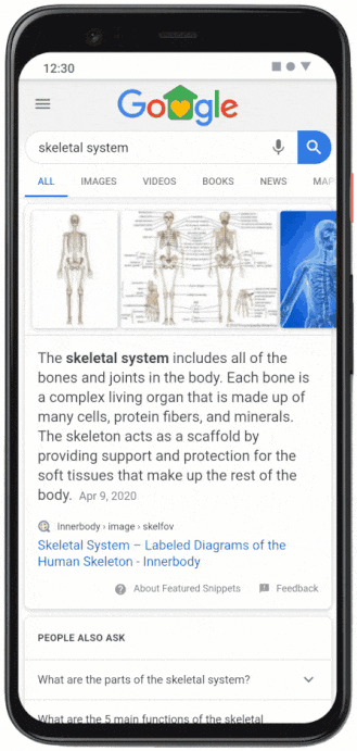 Google Search adds more AR 3D objects, including cell models and ...
