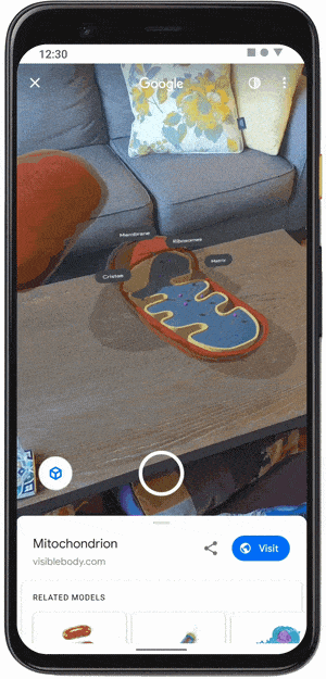 Google Search adds more AR 3D objects, including cell models and ...