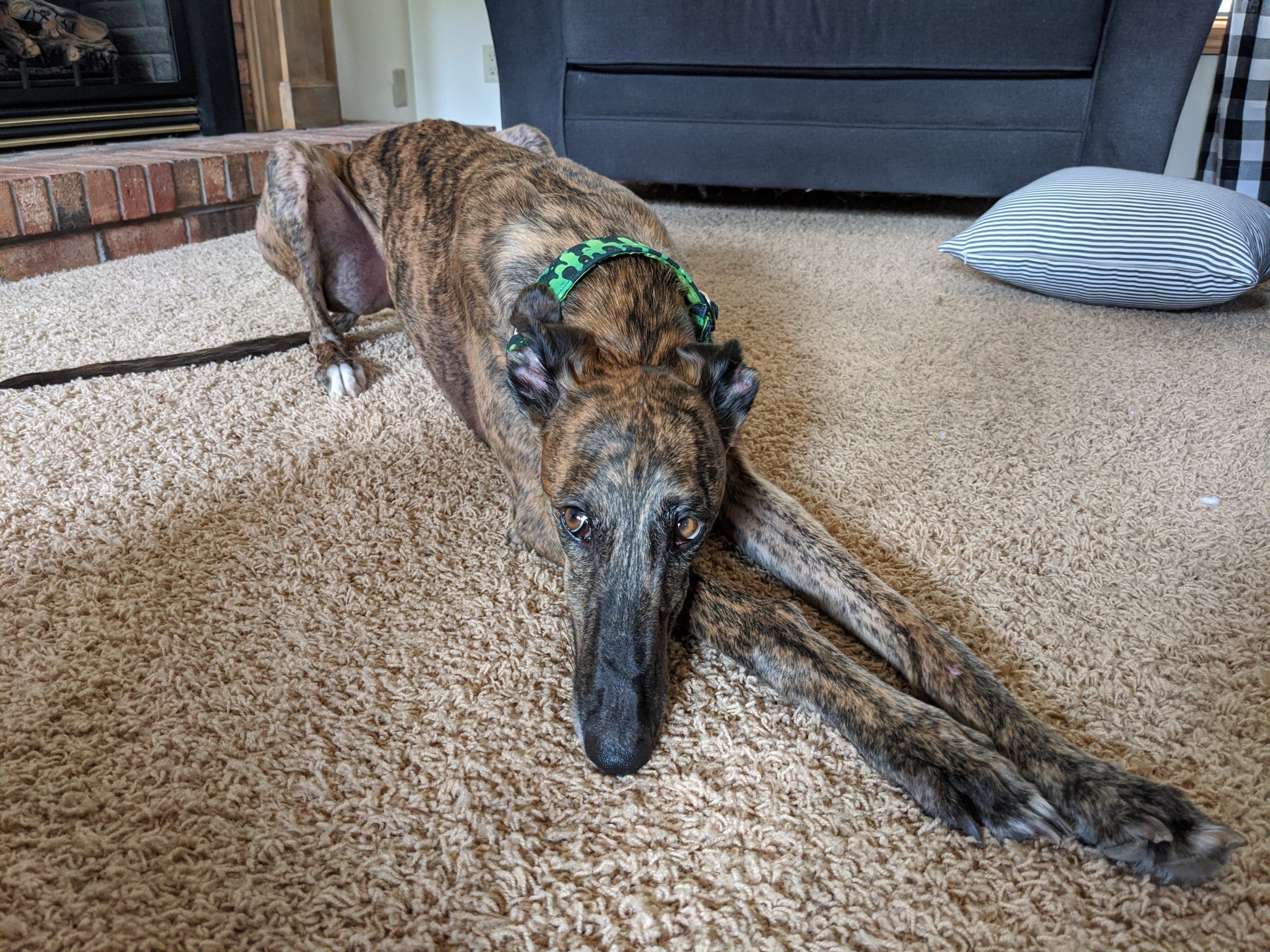 Pixel 4a camera sample gallery: Our first shots with Google's newest Pixel