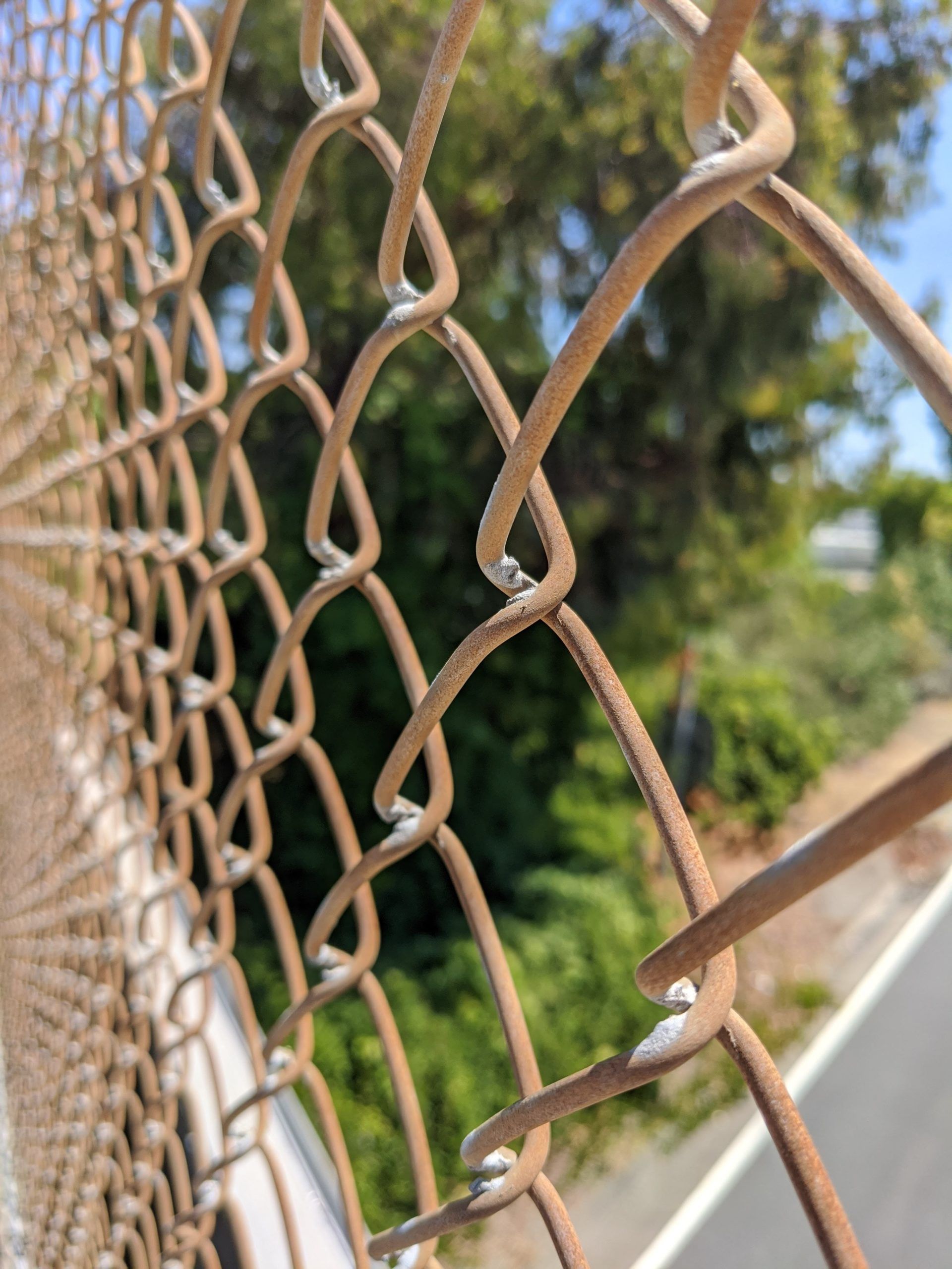 Pixel 4a camera sample gallery: Our first shots with Google's newest Pixel