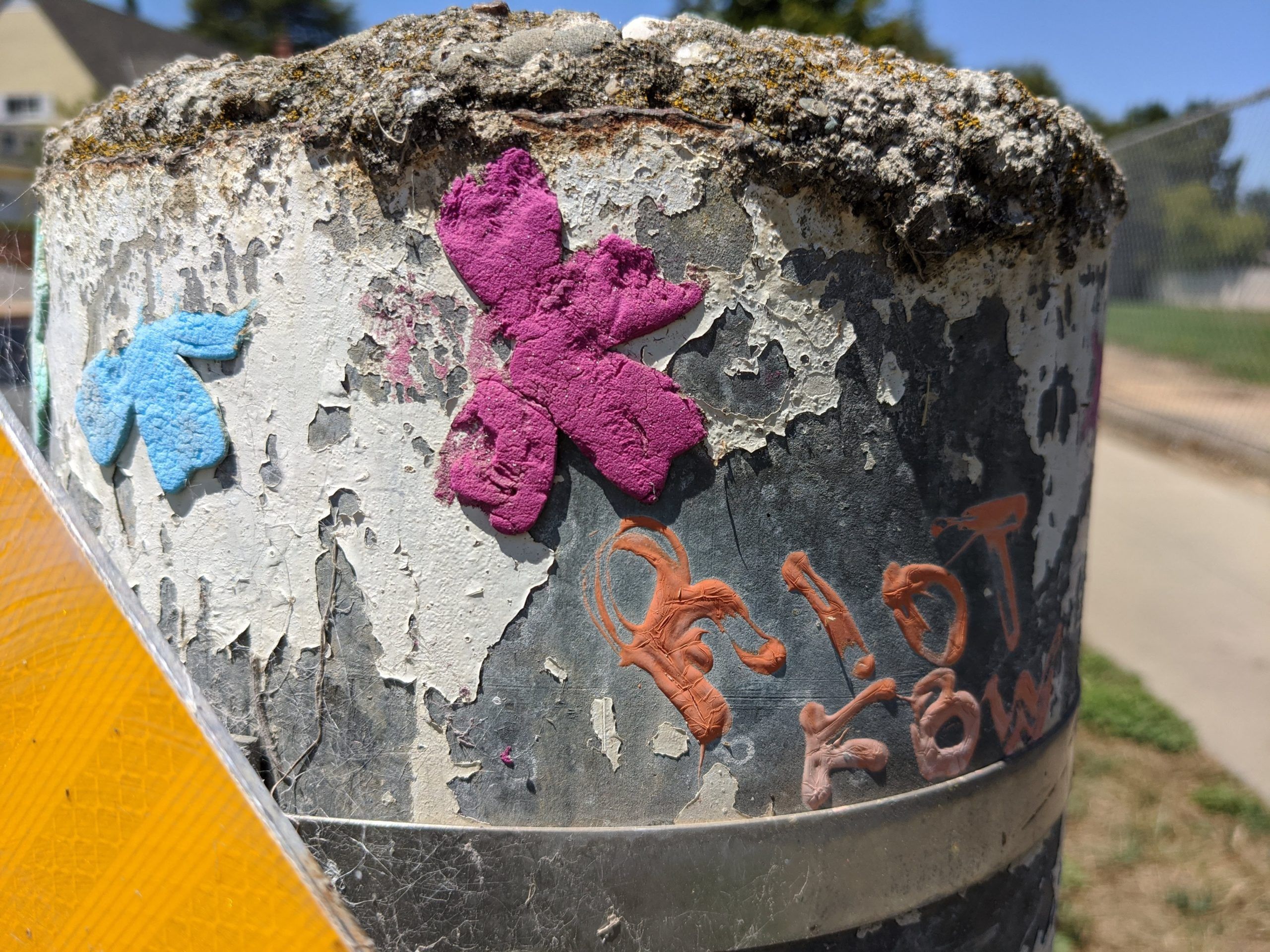 Pixel 4a camera sample gallery: Our first shots with Google's newest Pixel