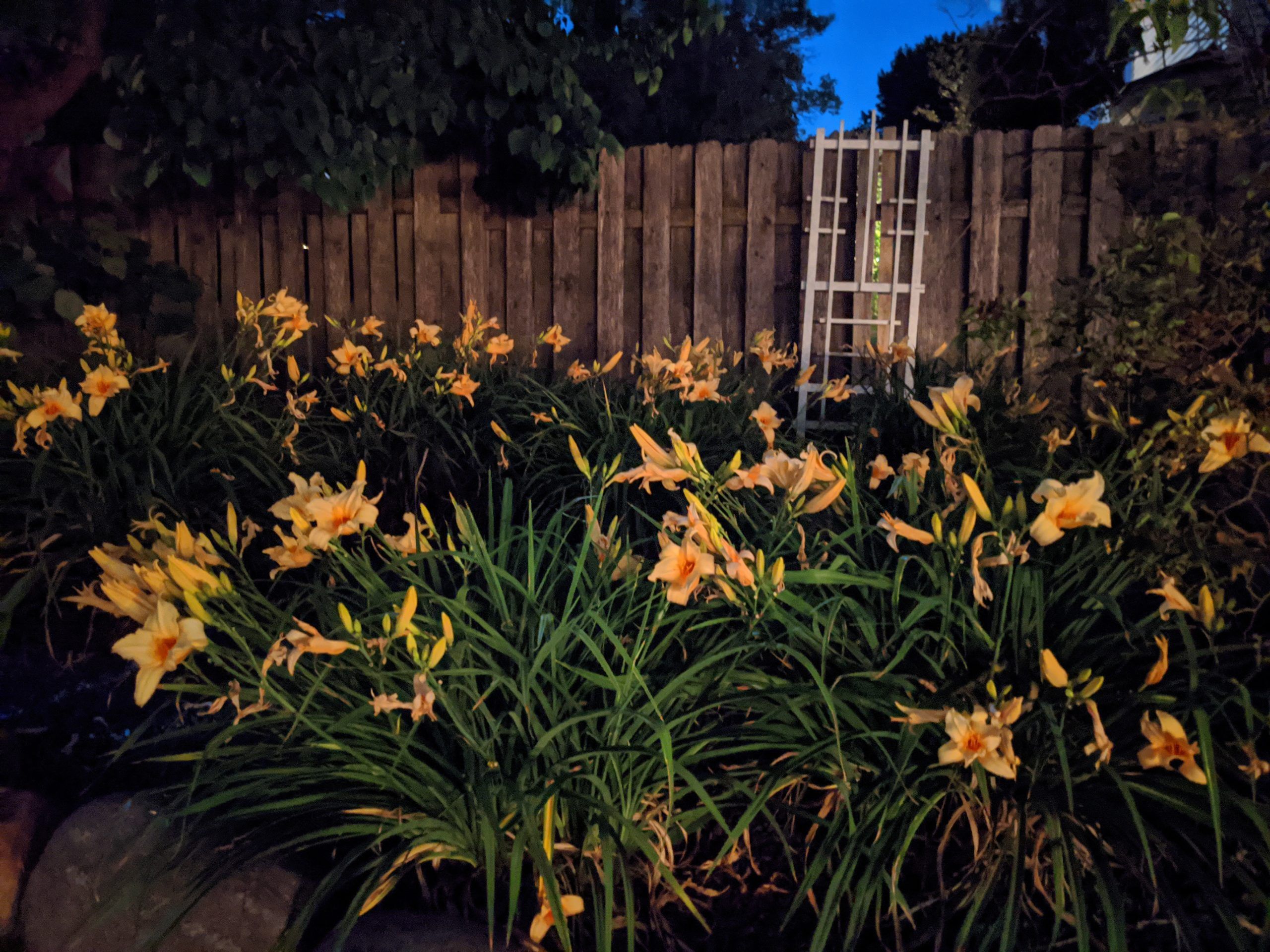 Pixel 4a camera sample gallery: Our first shots with Google's newest Pixel