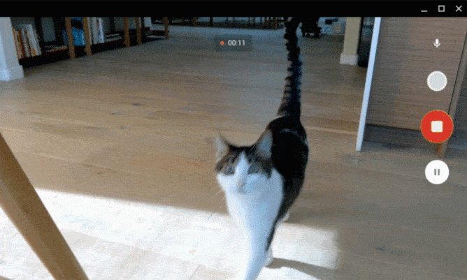 Chrome OS 85 comes with Wi-Fi password sync, redesigned settings search ...