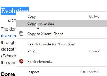 Chrome adds native link-to-text functionality to Canary