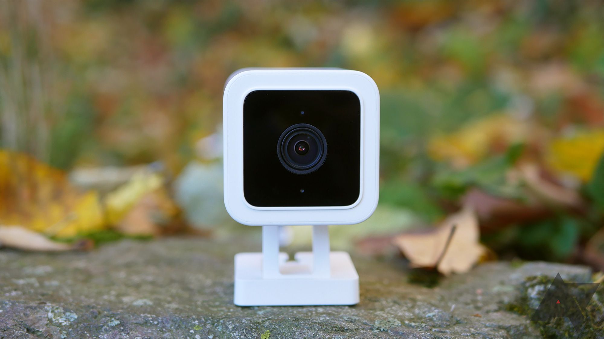 Wyze Cam v3 review: The best $20 you'll spend this year