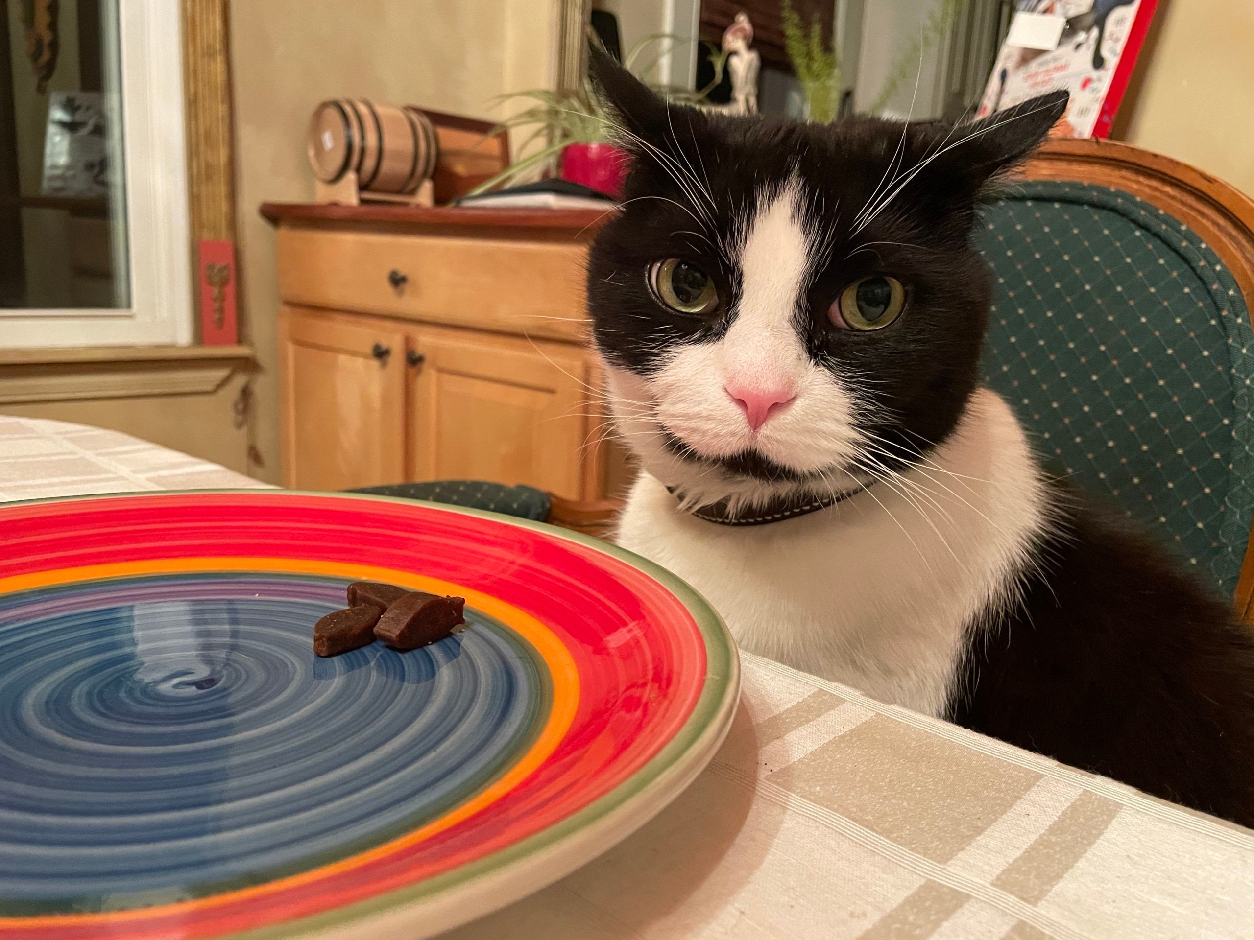 iPhone 12 Mini review: I just want a good small Android phone — is that ...