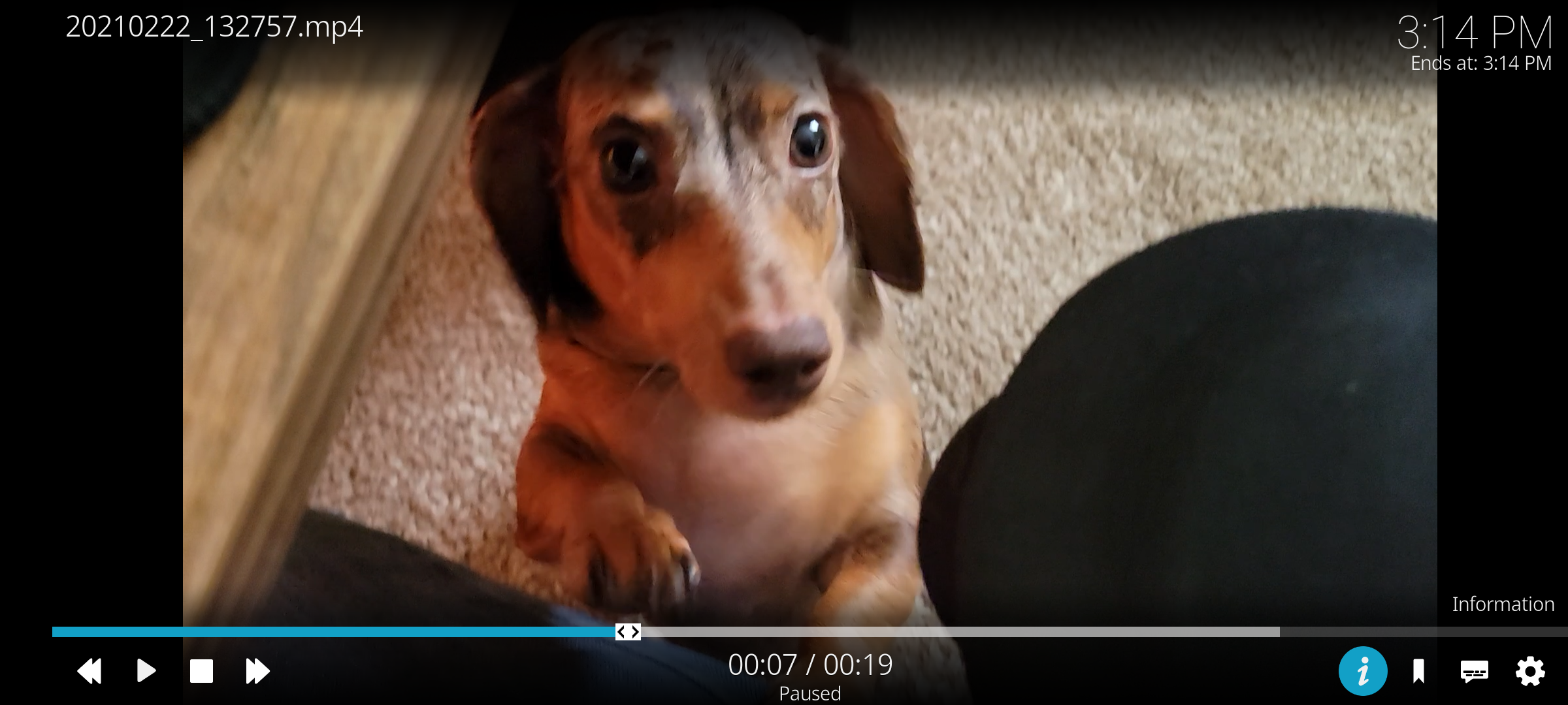 Kodi 19 now available with improved decoding, UI tweaks, and ...