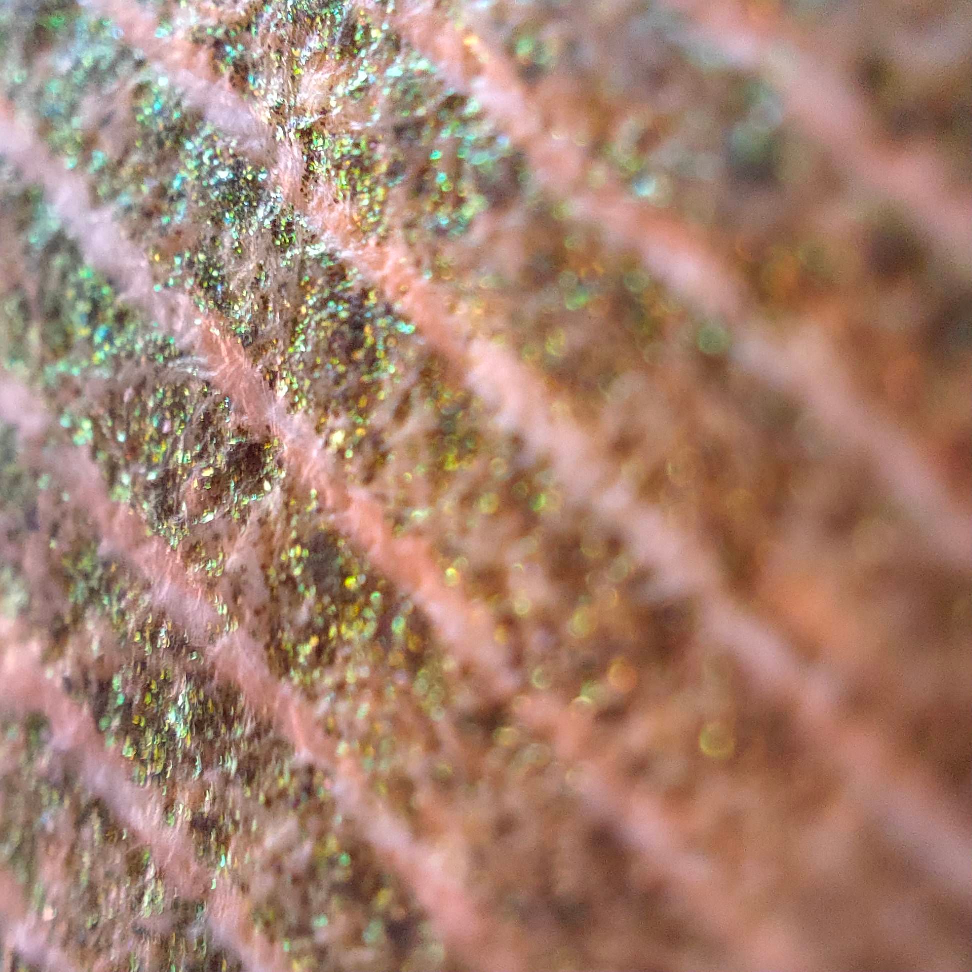 Oppo's new microscope camera will let you see things you've never seen ...