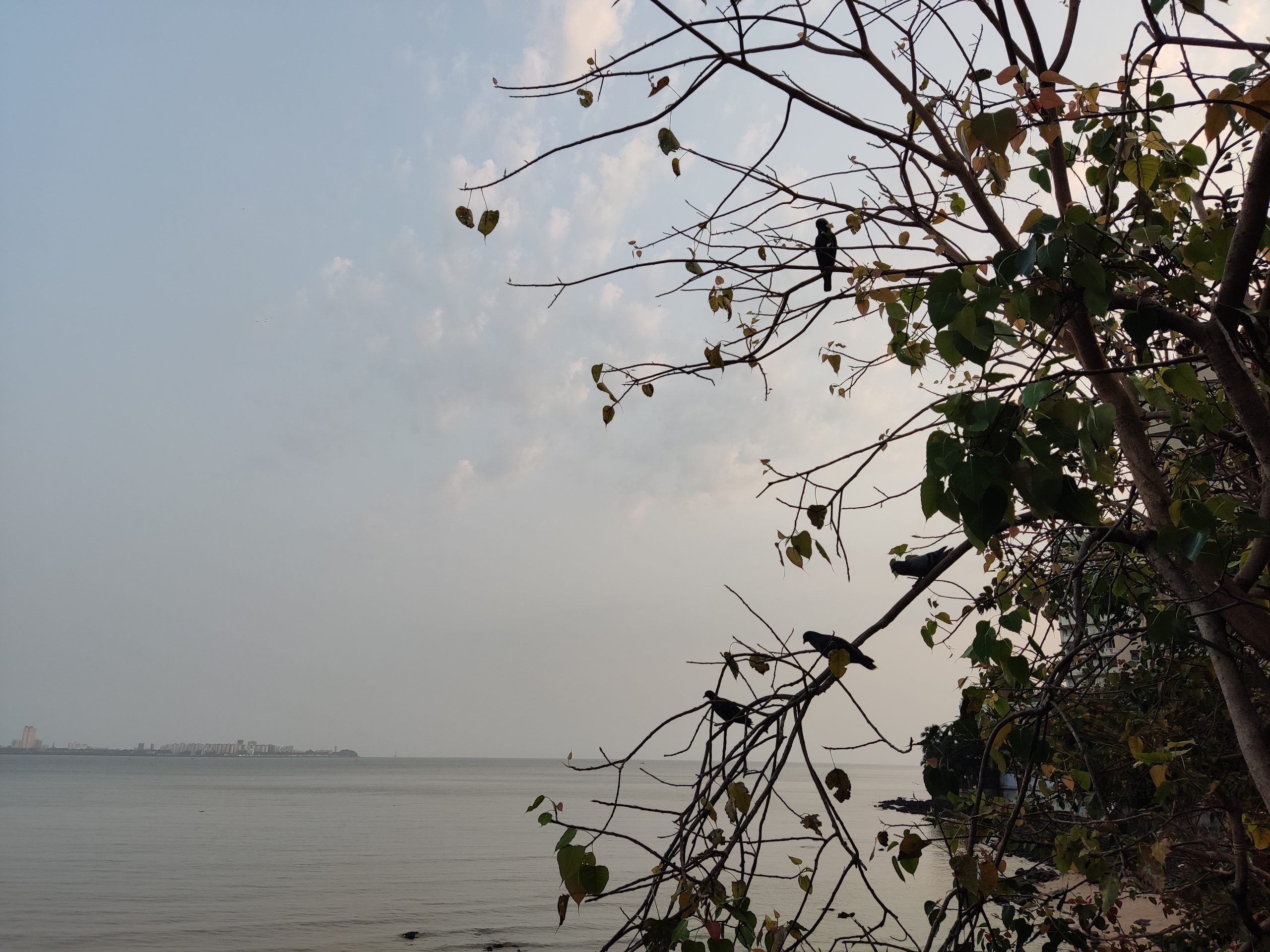 Poco X3 Pro review, three months later: All the power you need (some ...