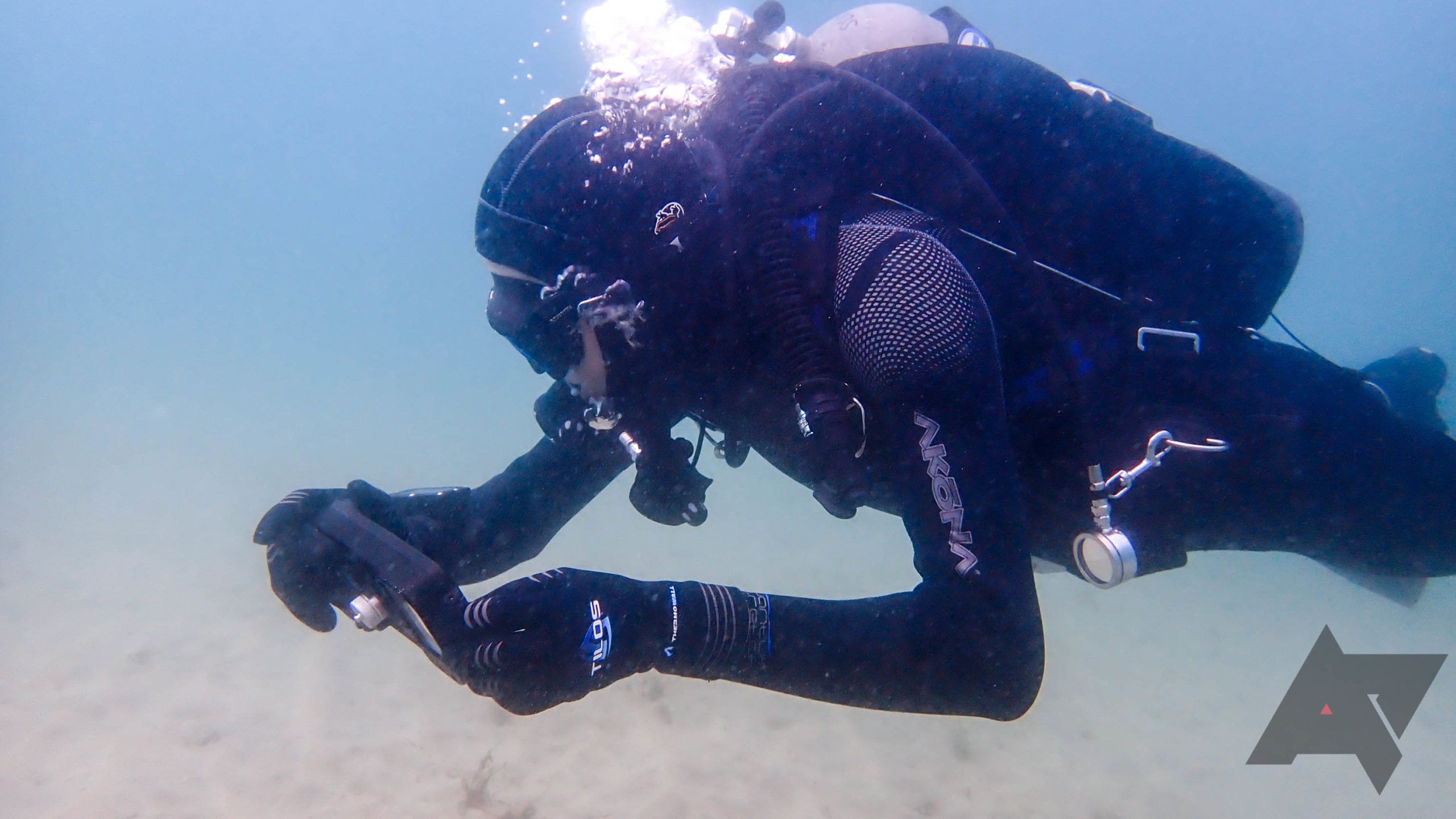 Here's what the Pixel's new underwater photography looks like