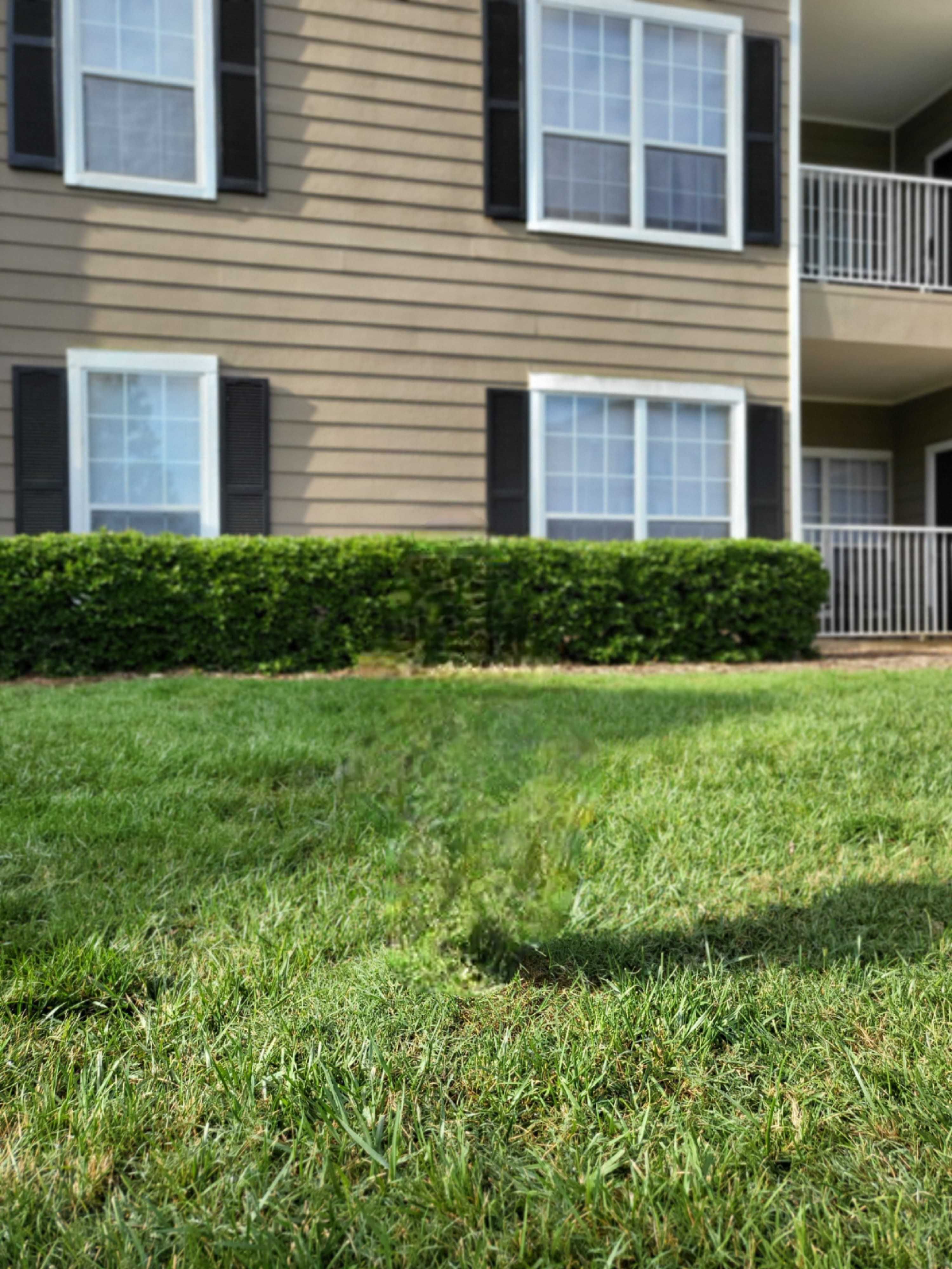 The best Pixel Magic Eraser apps