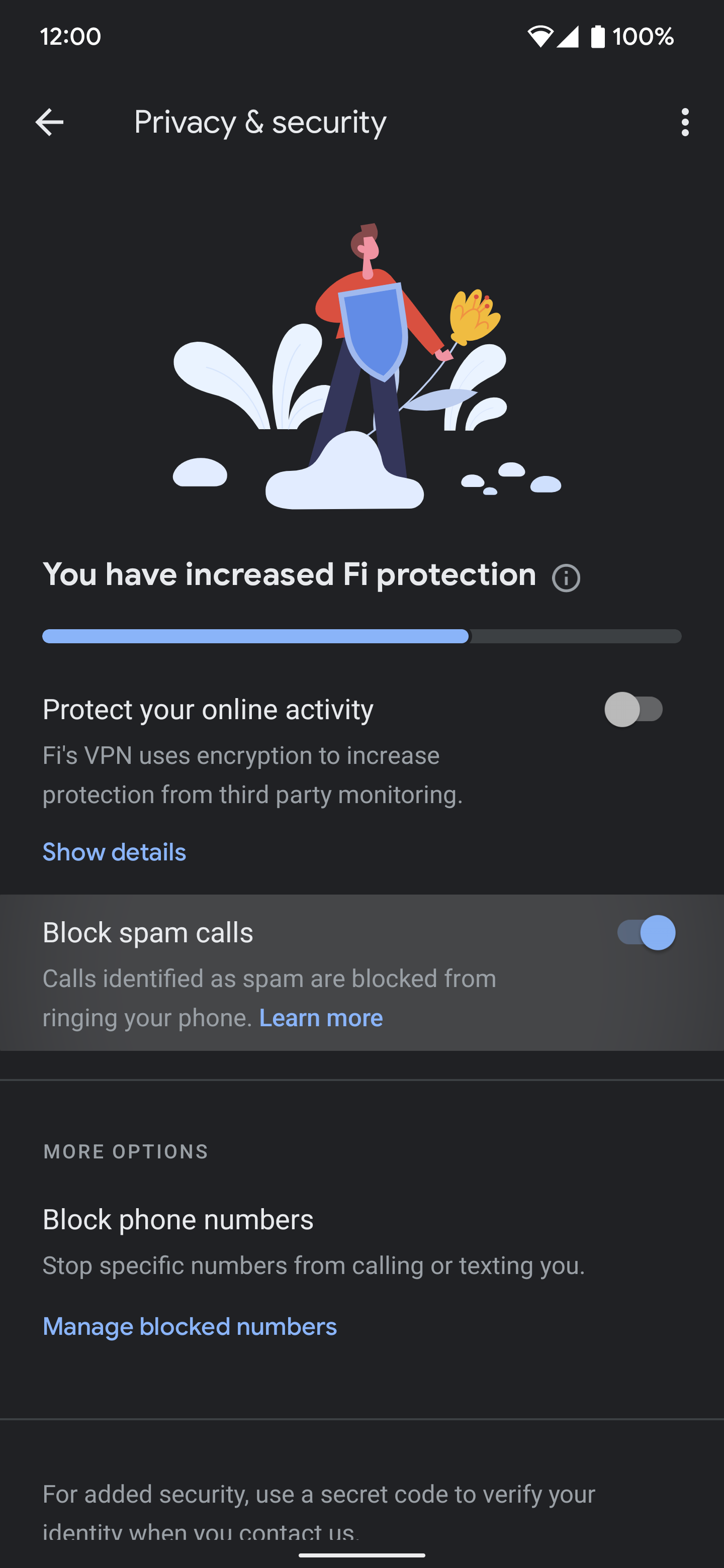 Protect your Google Pixel smartphone from spam calls and texts