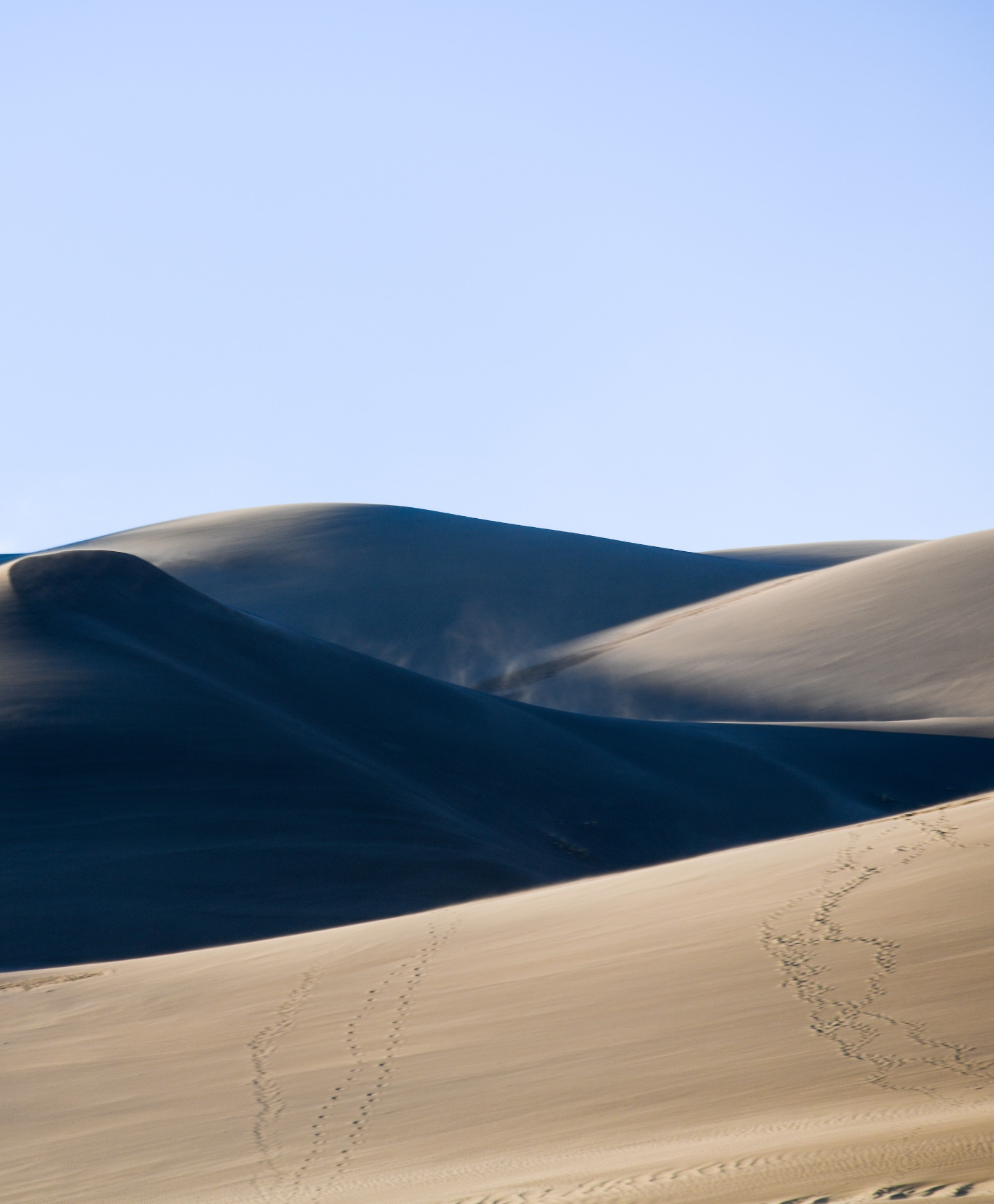 Download all 457 Google Wallpapers backgrounds from the Pixel phones