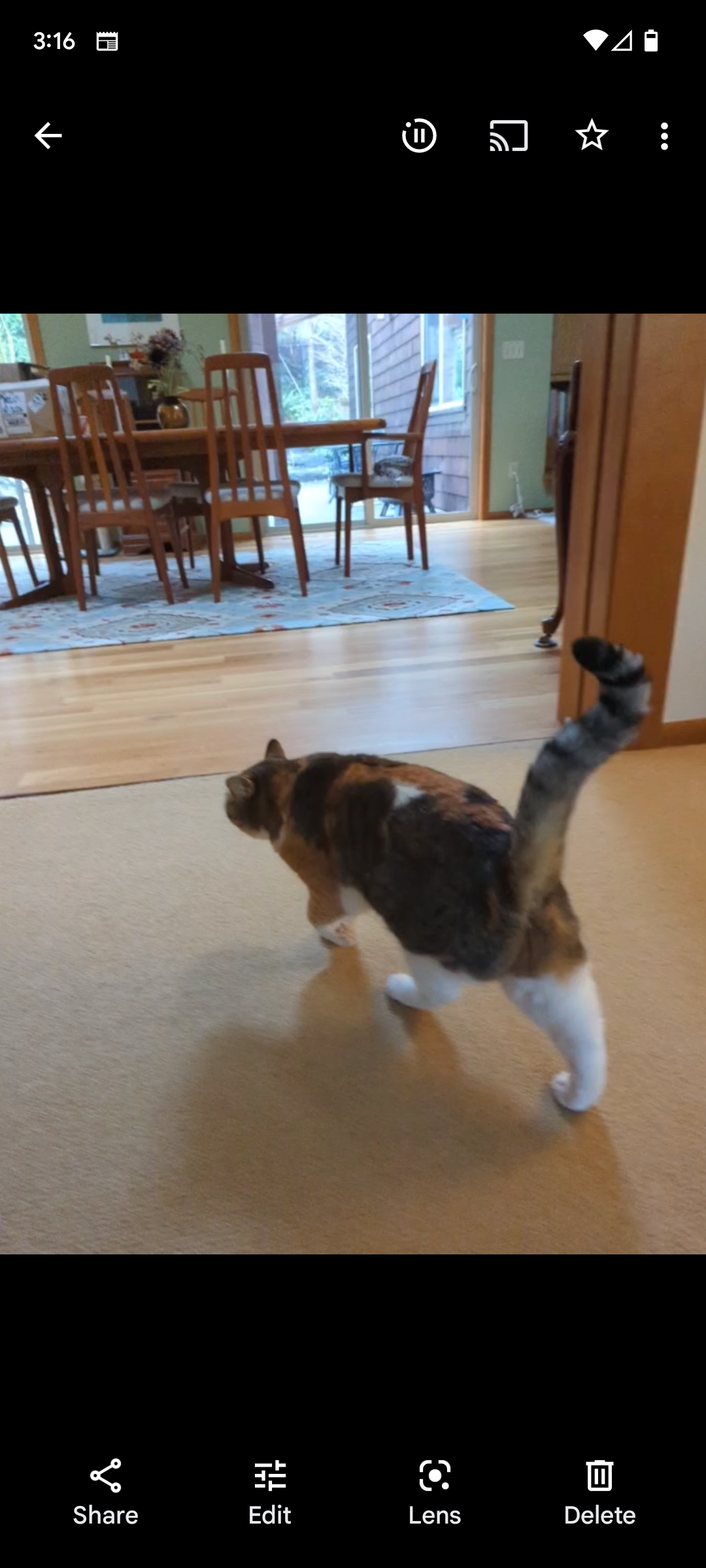 How to make GIFs from your Android phone's motion photos