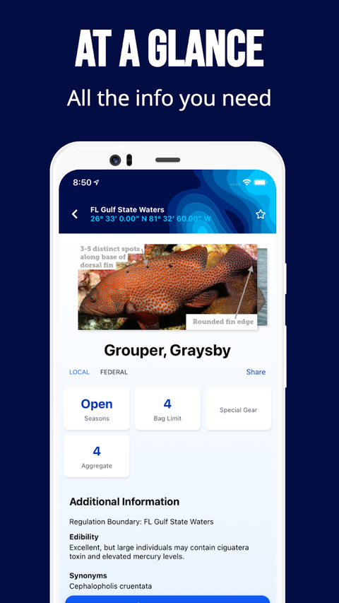12 best fishing apps