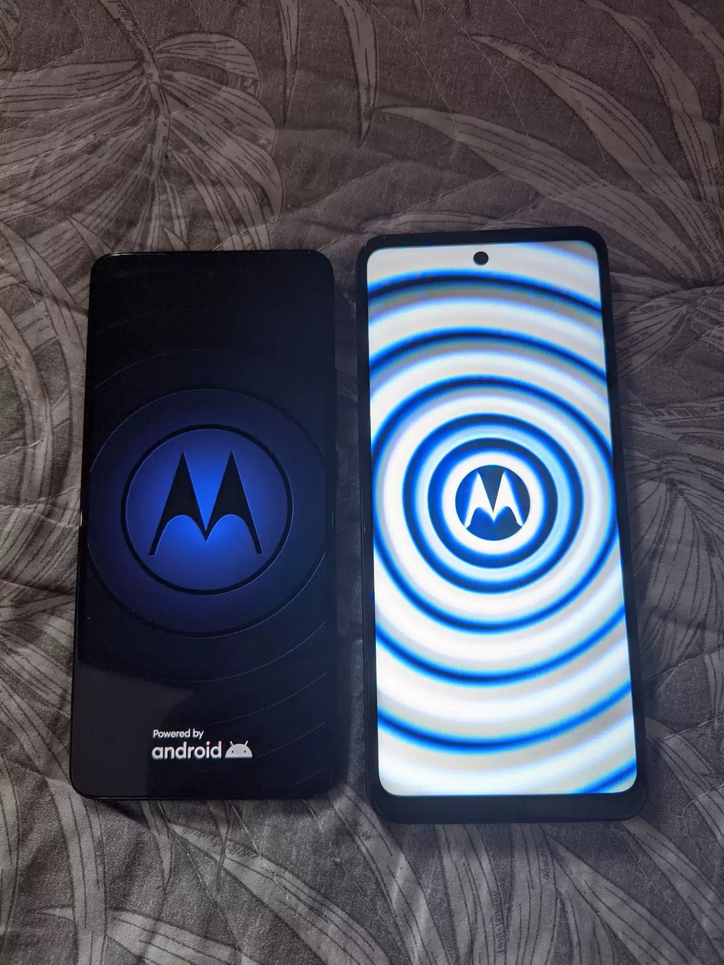Moto Edge 30 sure looks like another Motorola phone