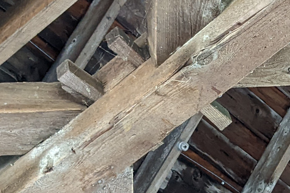 Google Pixel 6a vs. Pixel 6 vs. Pixel 6 Pro camera showdown: All winners